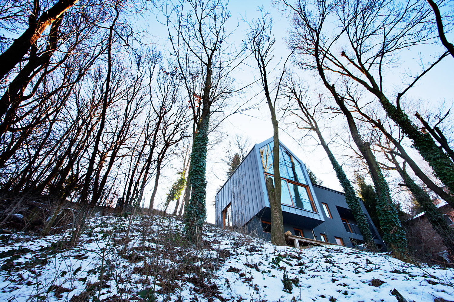 House in the tree crown by Nanavízió - Architizer