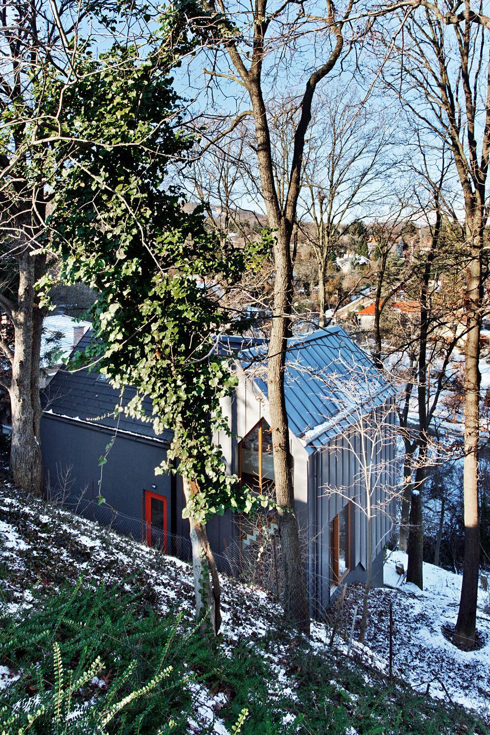 House in the tree crown by Nanavízió - Architizer