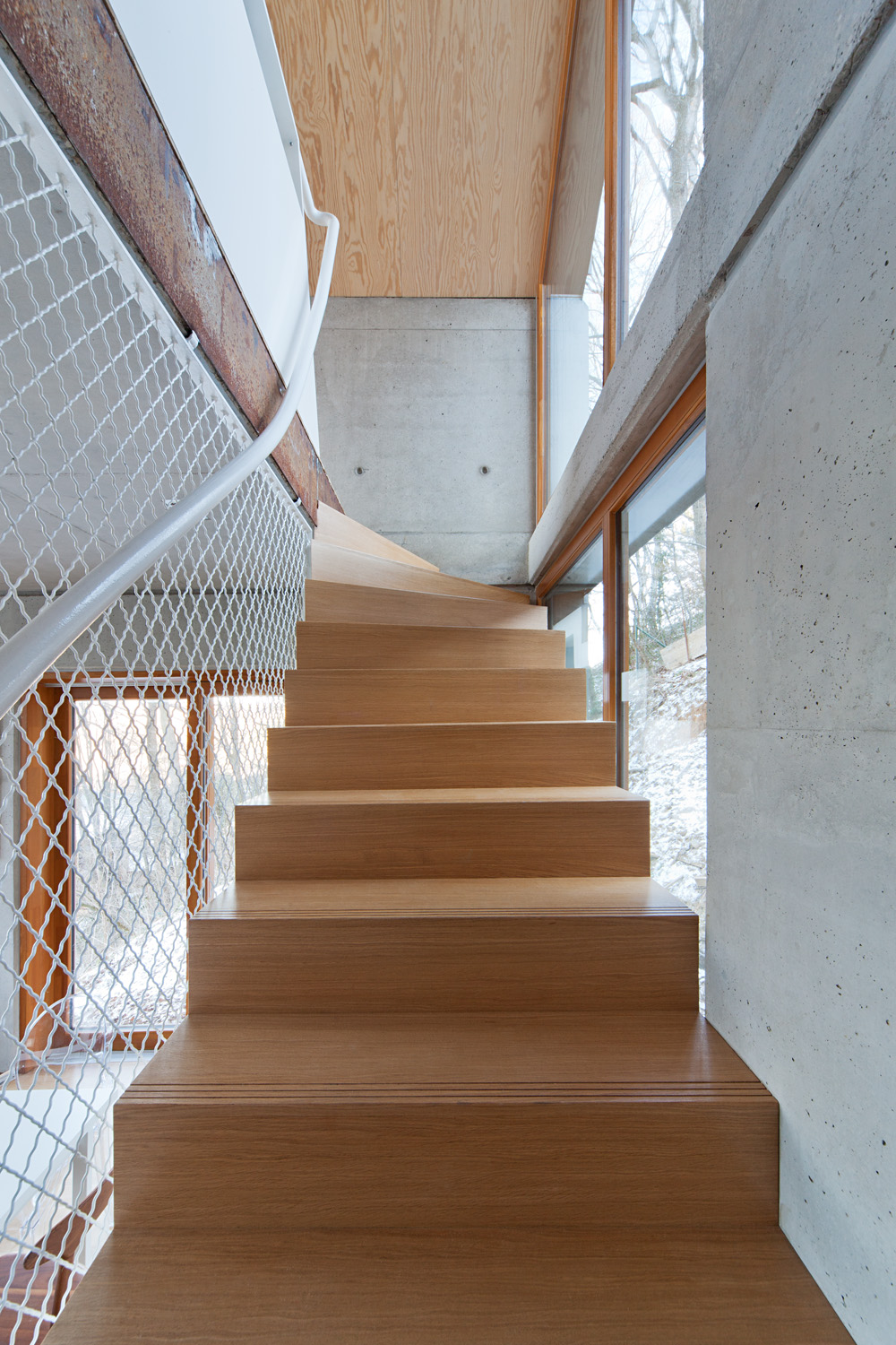 House in the tree crown by Nanavízió - Architizer