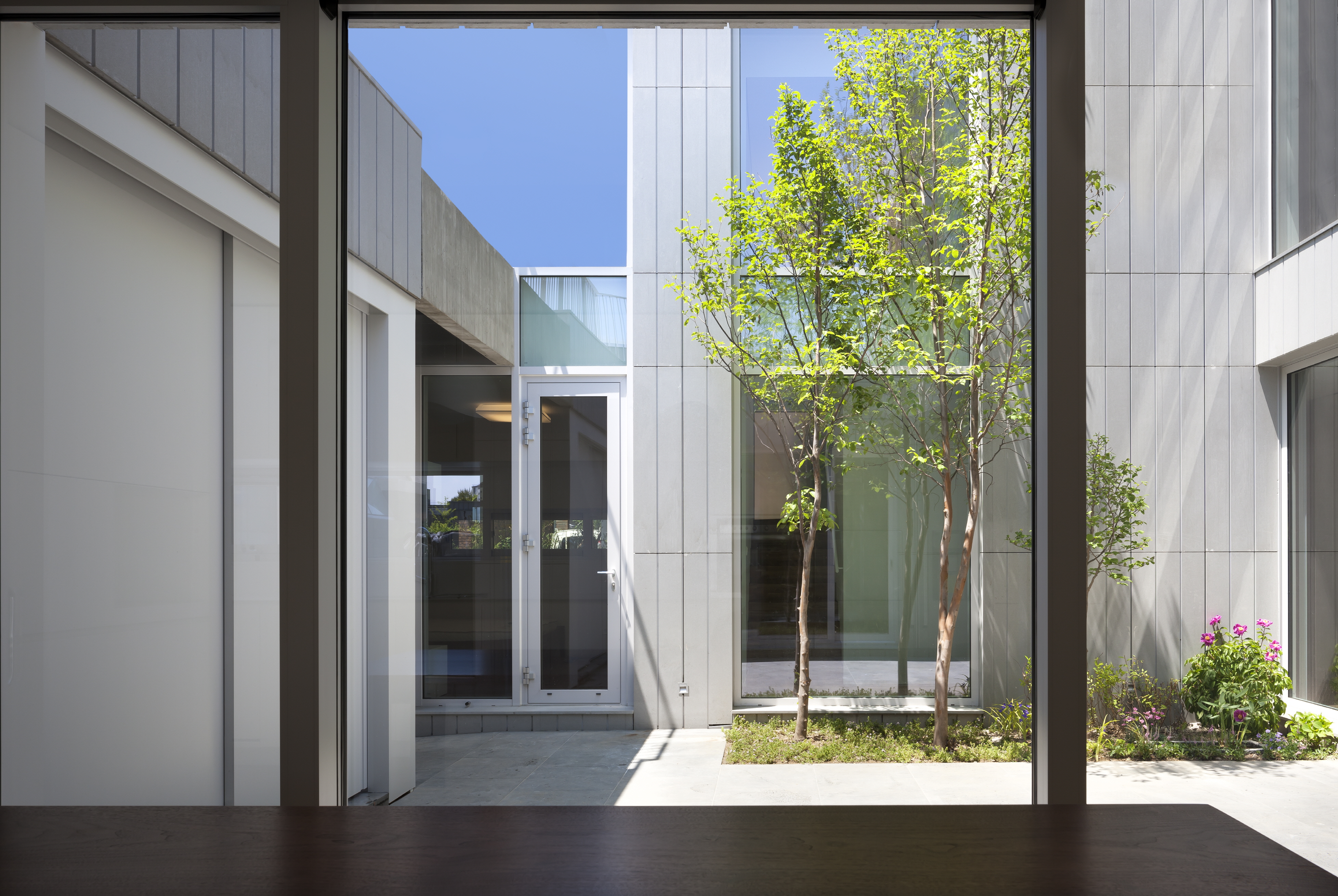 Coconut house by D.LIM Architects - Architizer
