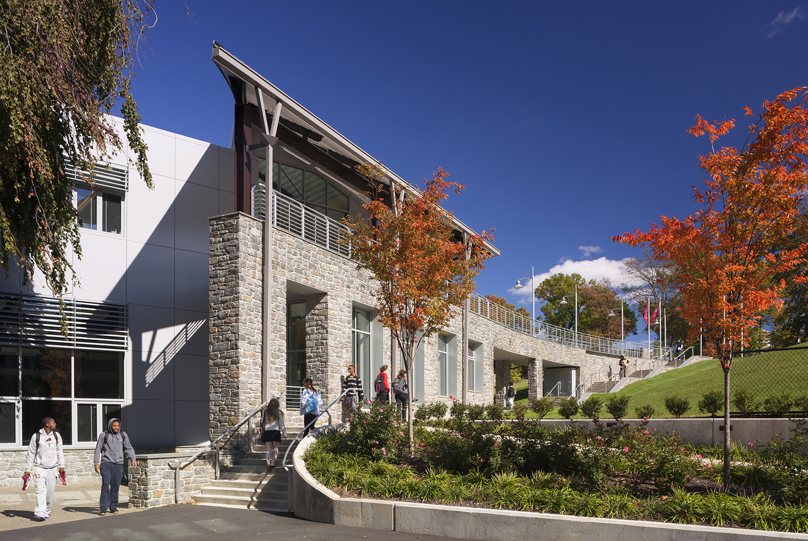 Arcadia University Commons - Architizer