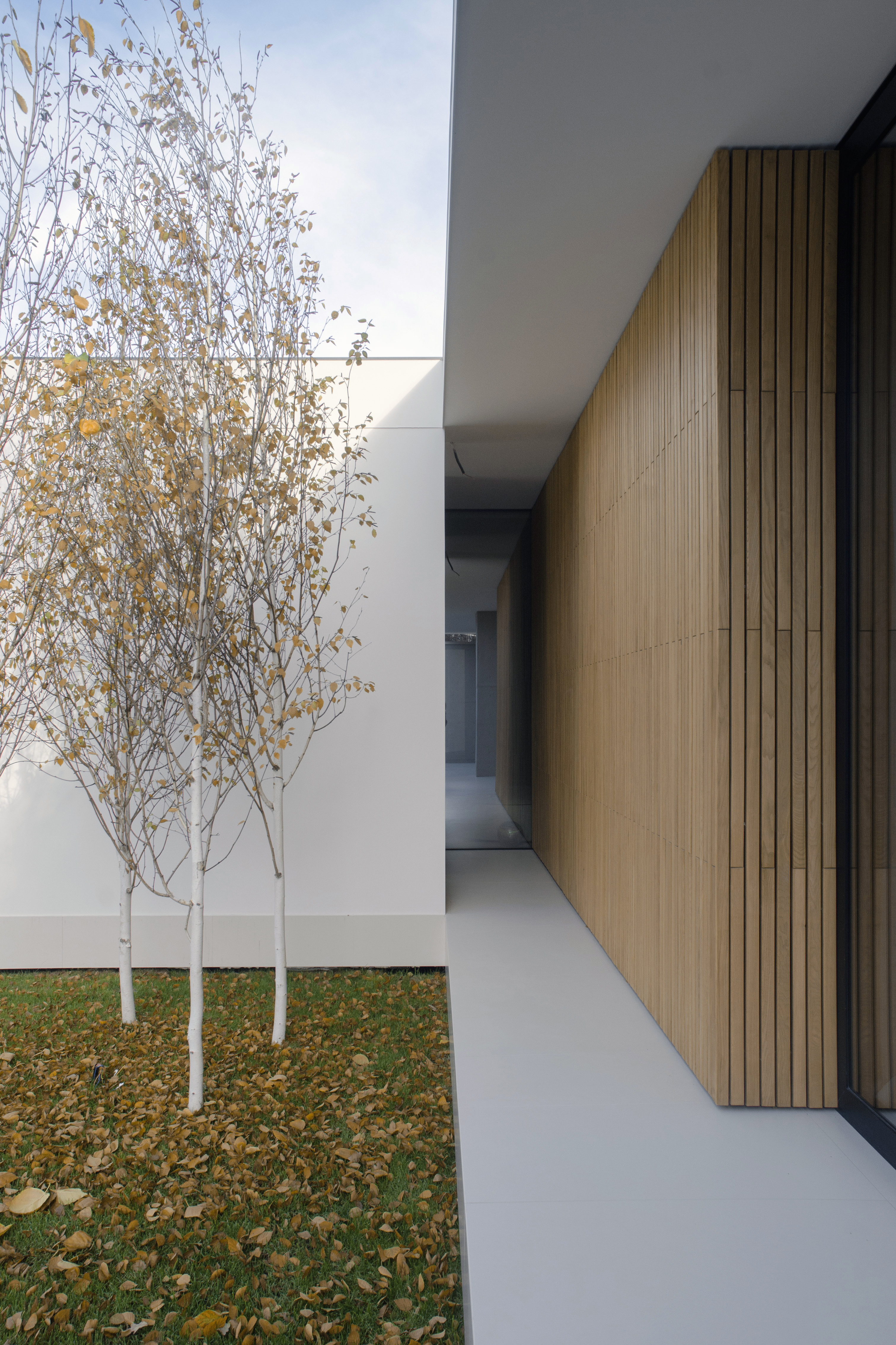 Piano House by l i n e a r c h i t e c t s - Architizer