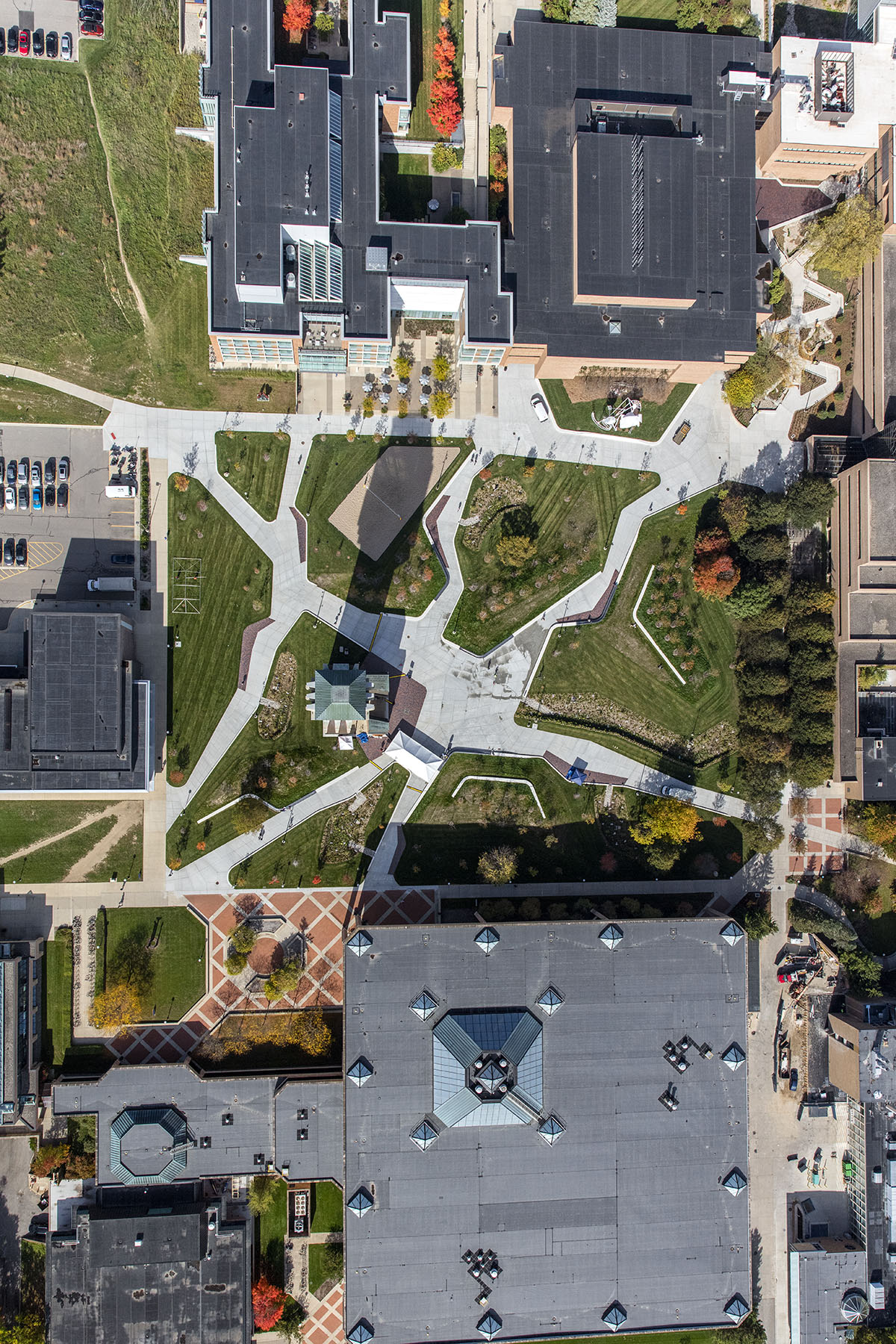 Idea 1838729: Eda U. Gerstacker Grove by Stoss Landscape Urbanism in ...