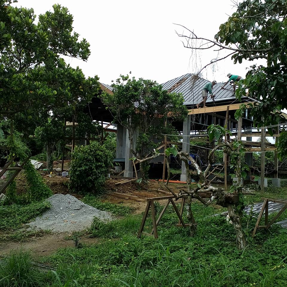 Amadeo Coffee Plantation by Black Swan Builders - Architizer
