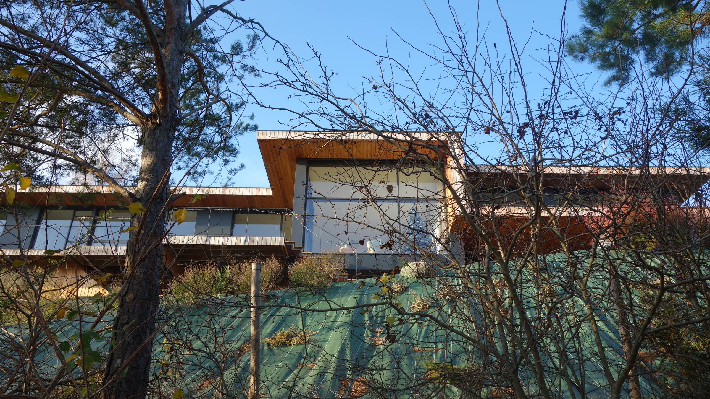 M House by joseph almudever - Architizer