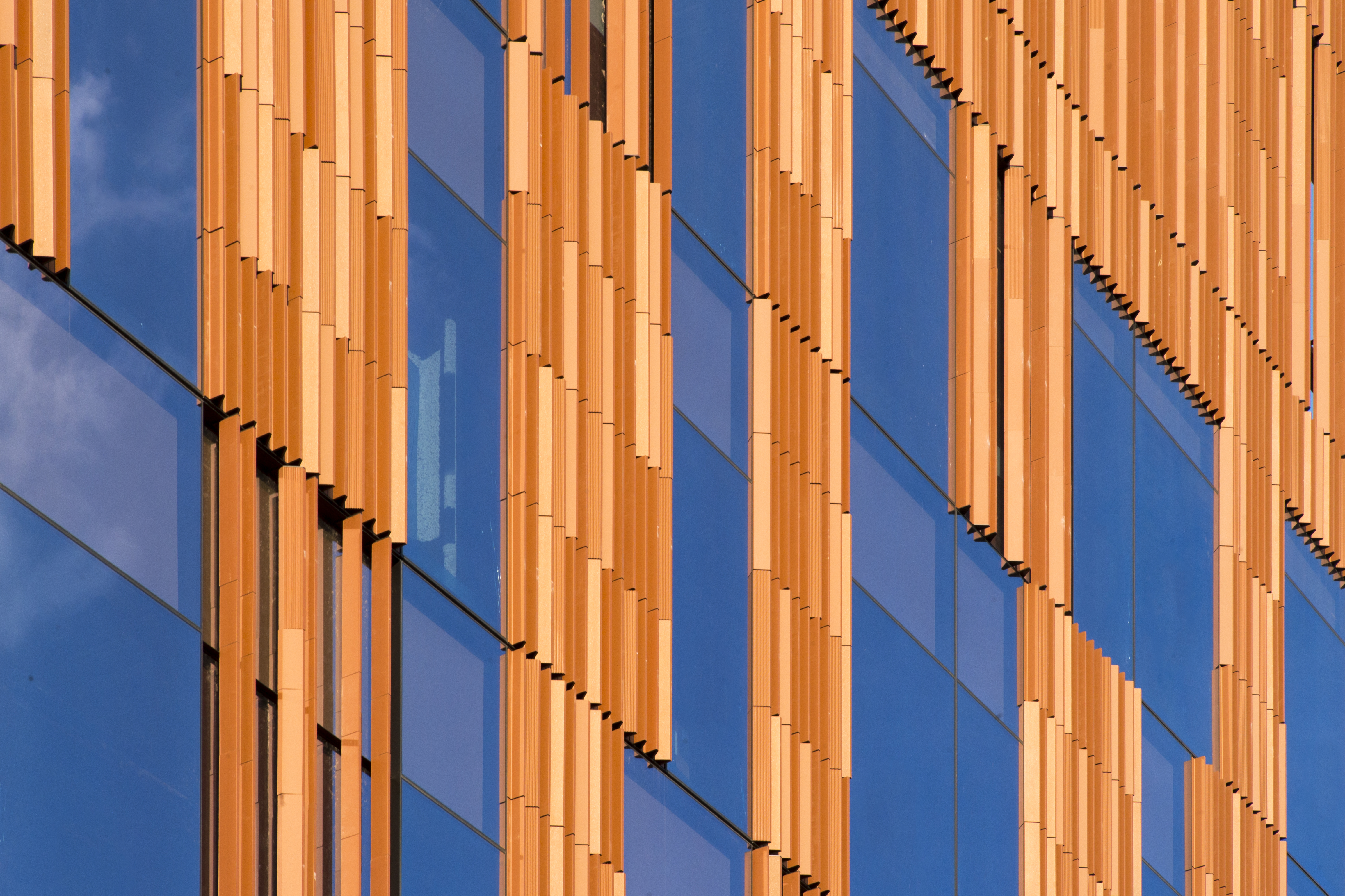 Shildan - Architizer