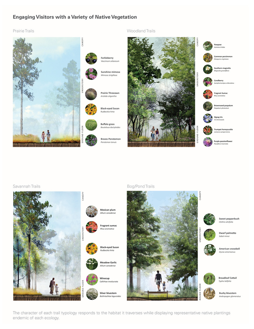 Houston Arboretum & Nature Center by Design Workshop - Architizer