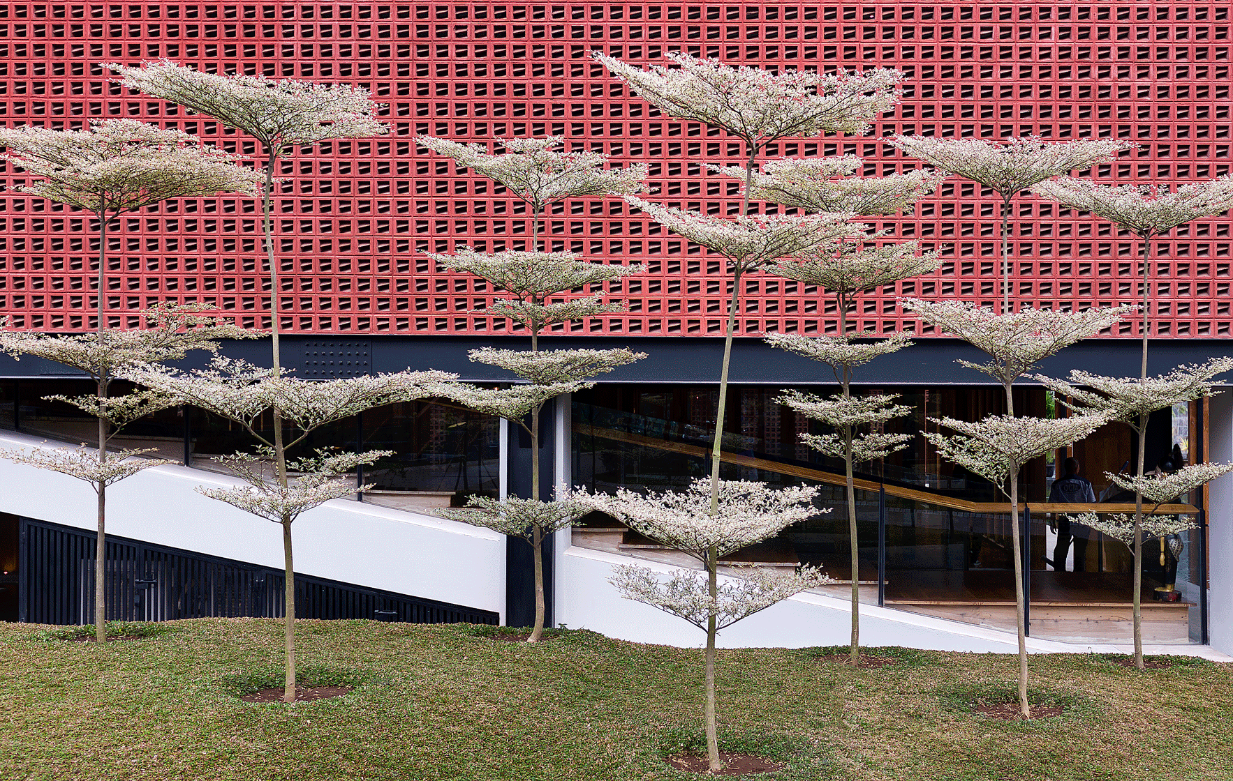 Djati Lounge & Djoglo Bungalow by MINT-DS - Architizer