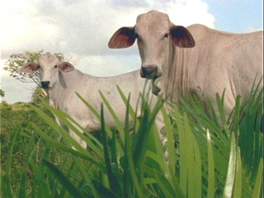 Temporary Landscape by XS SPACE - Architizer