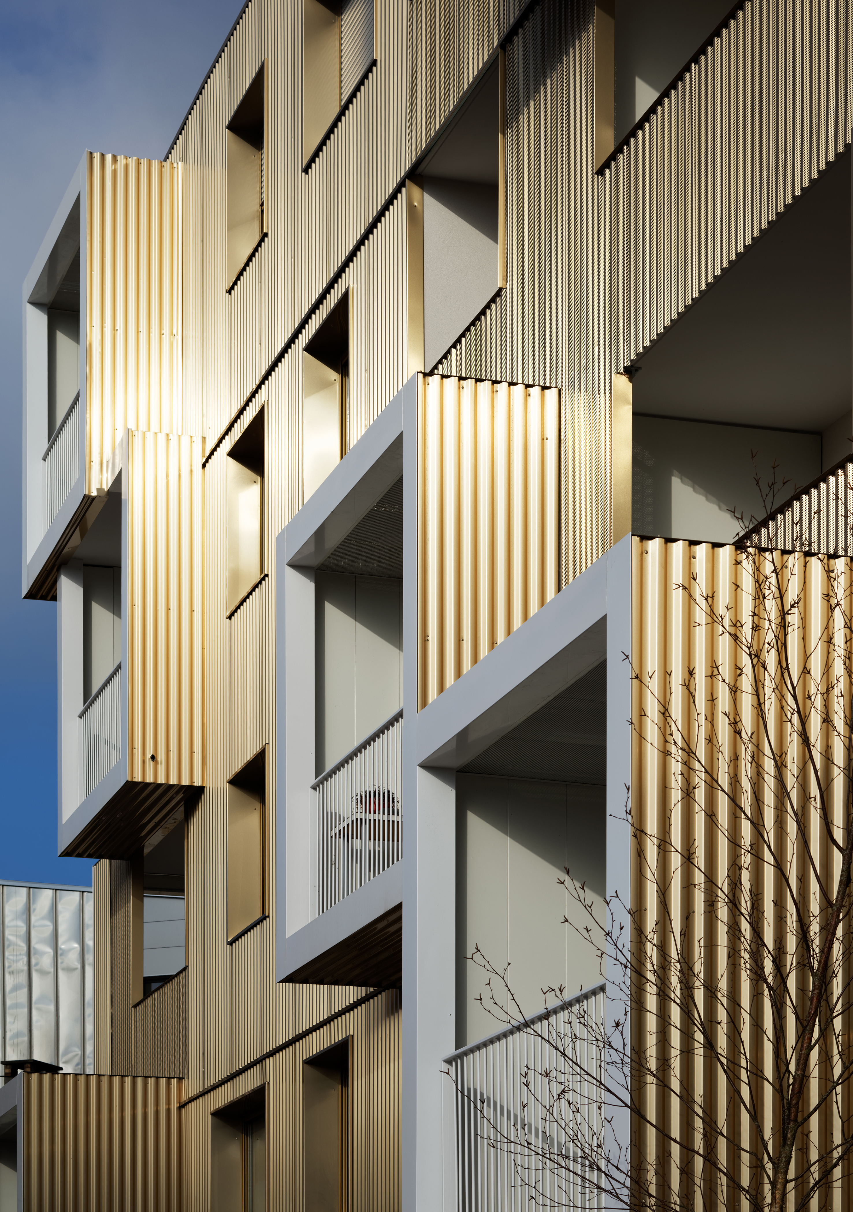 Urban Dock - Architizer