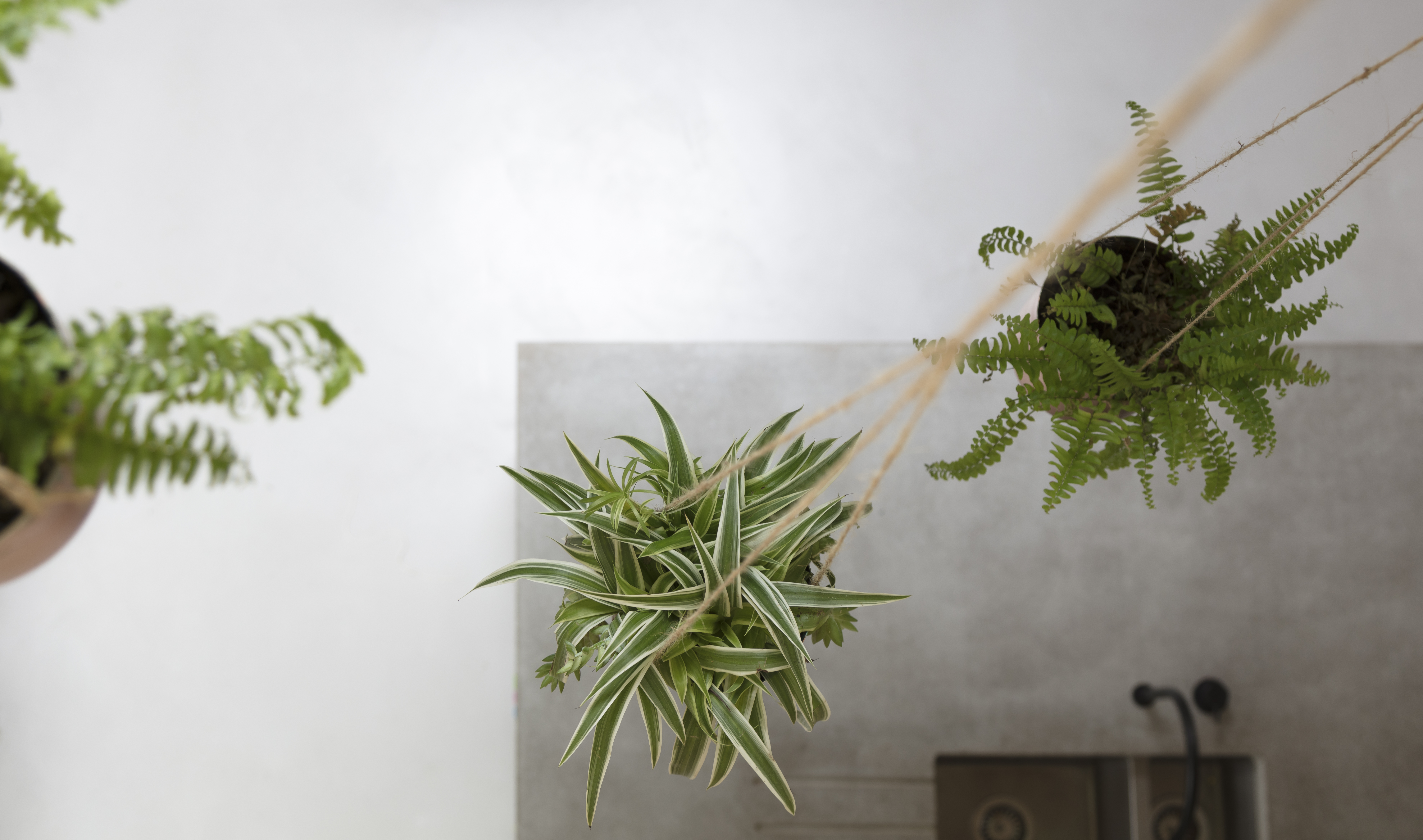 Pink House by Simon Astridge - Architizer