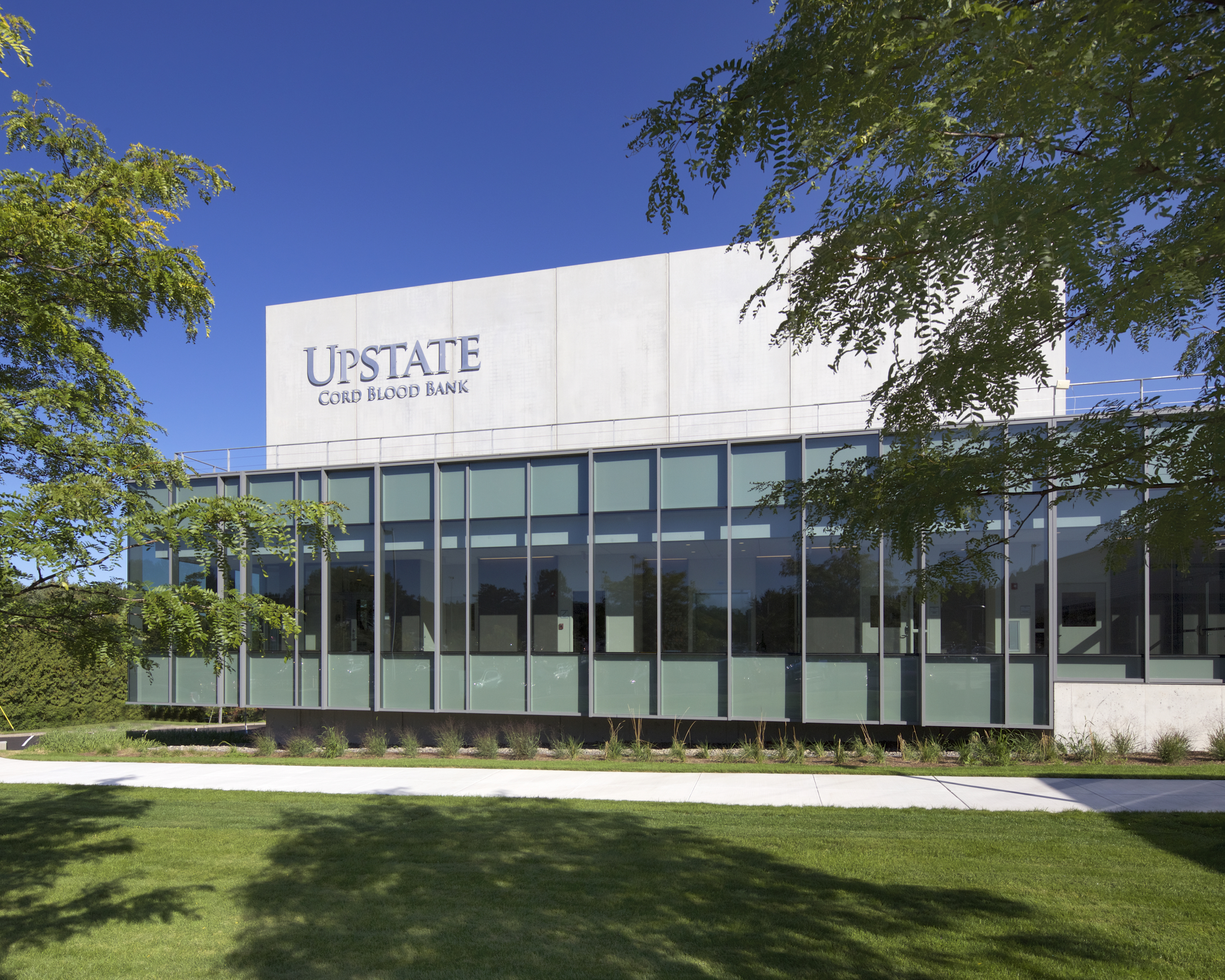 SUNY Upstate Medical University Cord Blood Bank by Francis Cauffman ...