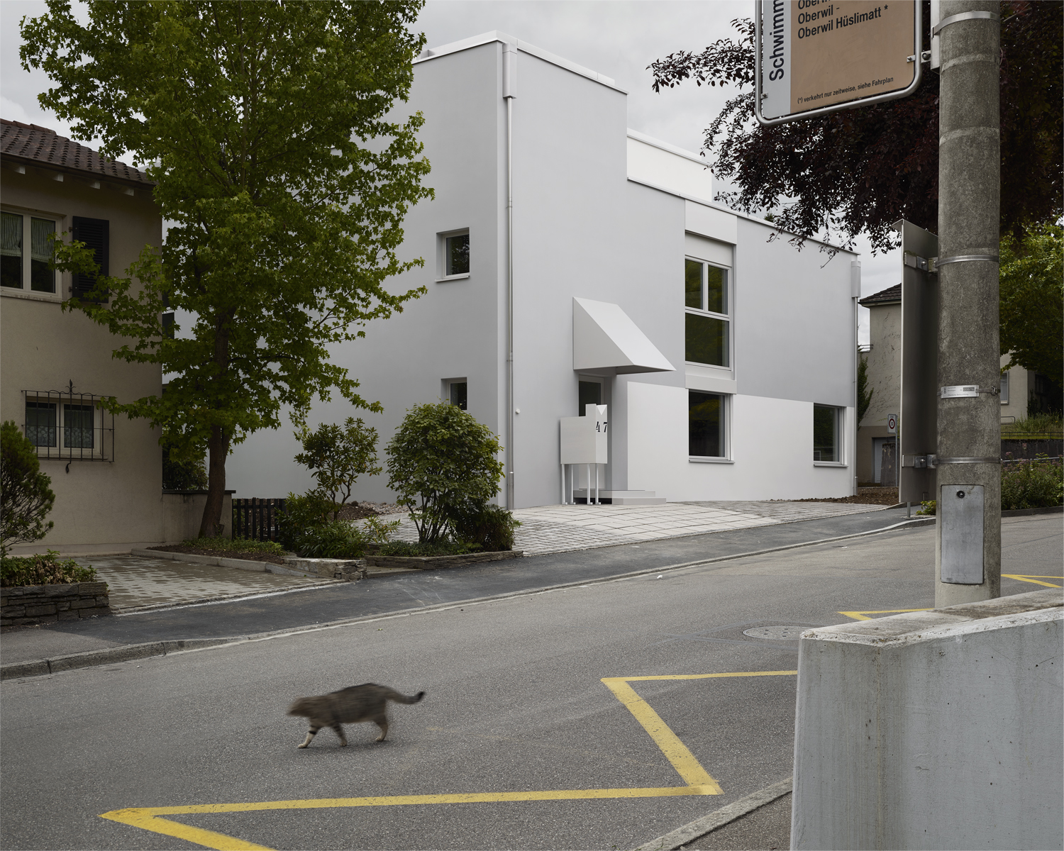 Lütjens Padmanabhan Architekten - Architizer