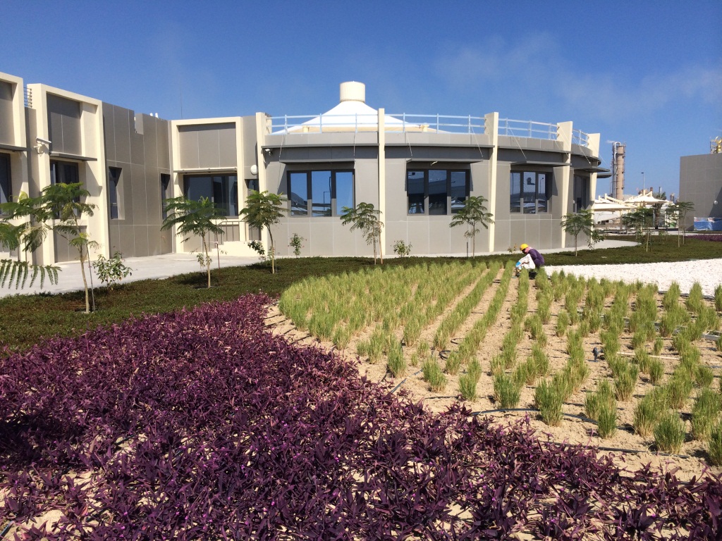 Fertil Non-Process Buildings by Design & Construction Engineering - DEC ...