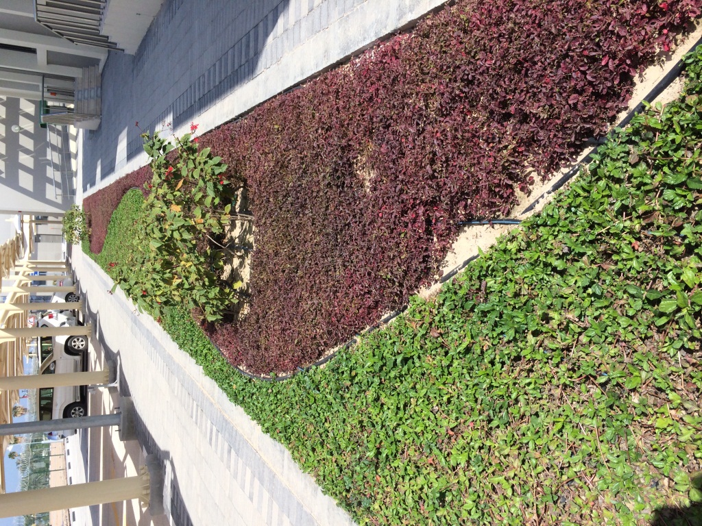 Fertil Non-Process Buildings by Design & Construction Engineering - DEC ...