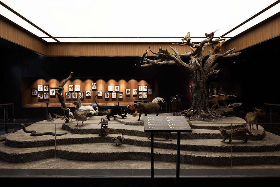 Nanning Museum by COORDINATION ASIA - Architizer