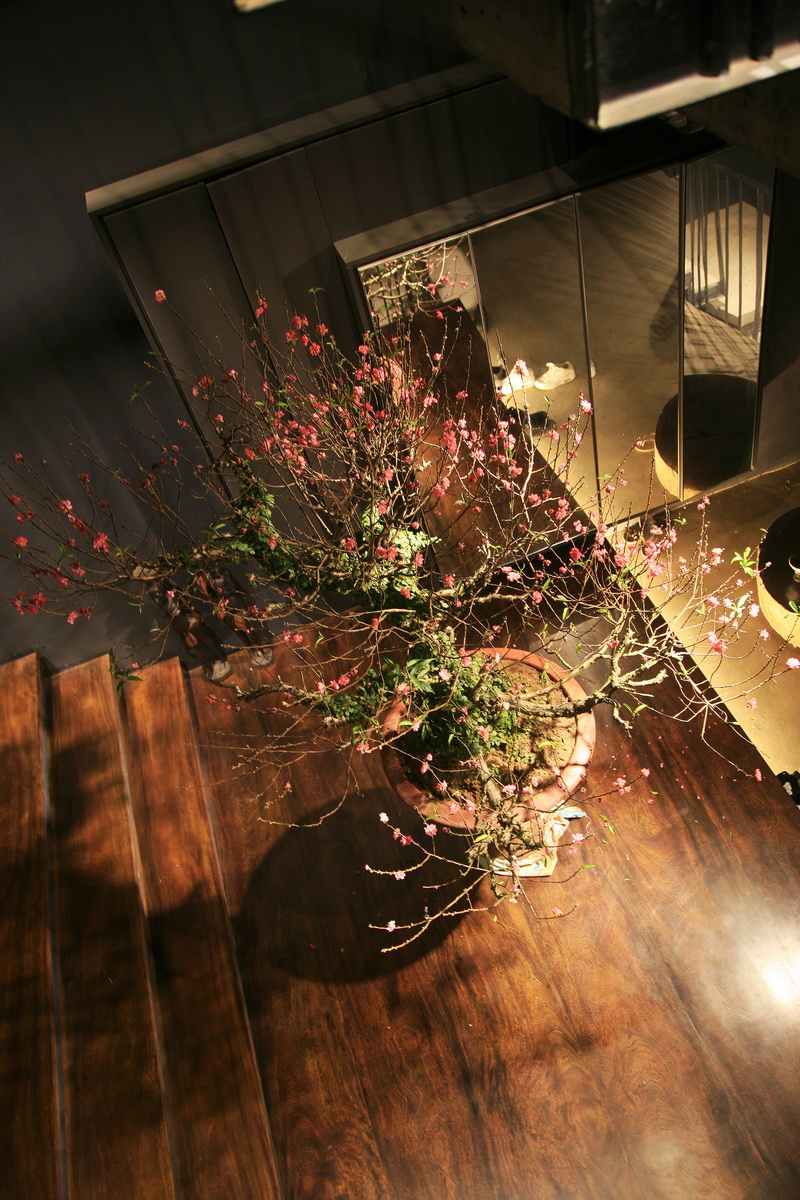 STH_STAIRHOUSE by deline architecture consultancy & construction ...