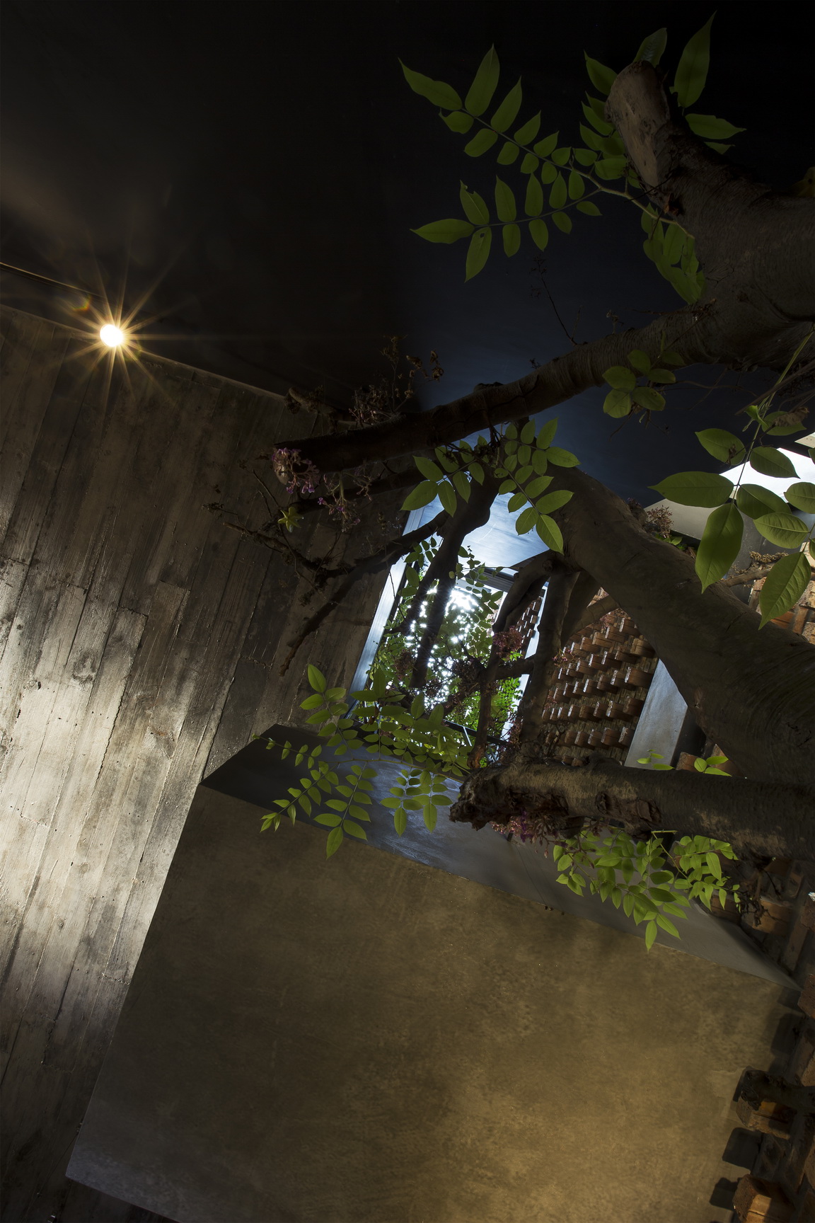 STH_STAIRHOUSE by deline architecture consultancy & construction ...