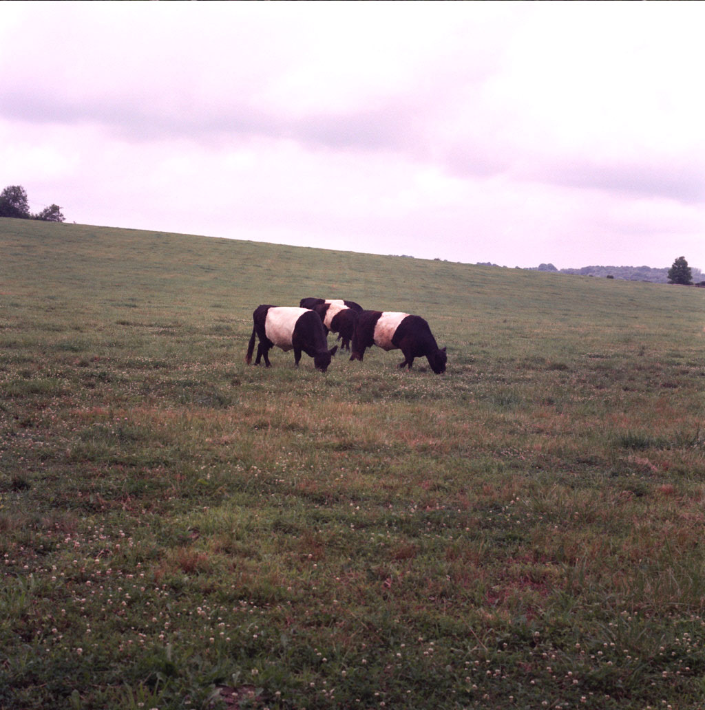 Temporary Landscape by XS SPACE - Architizer