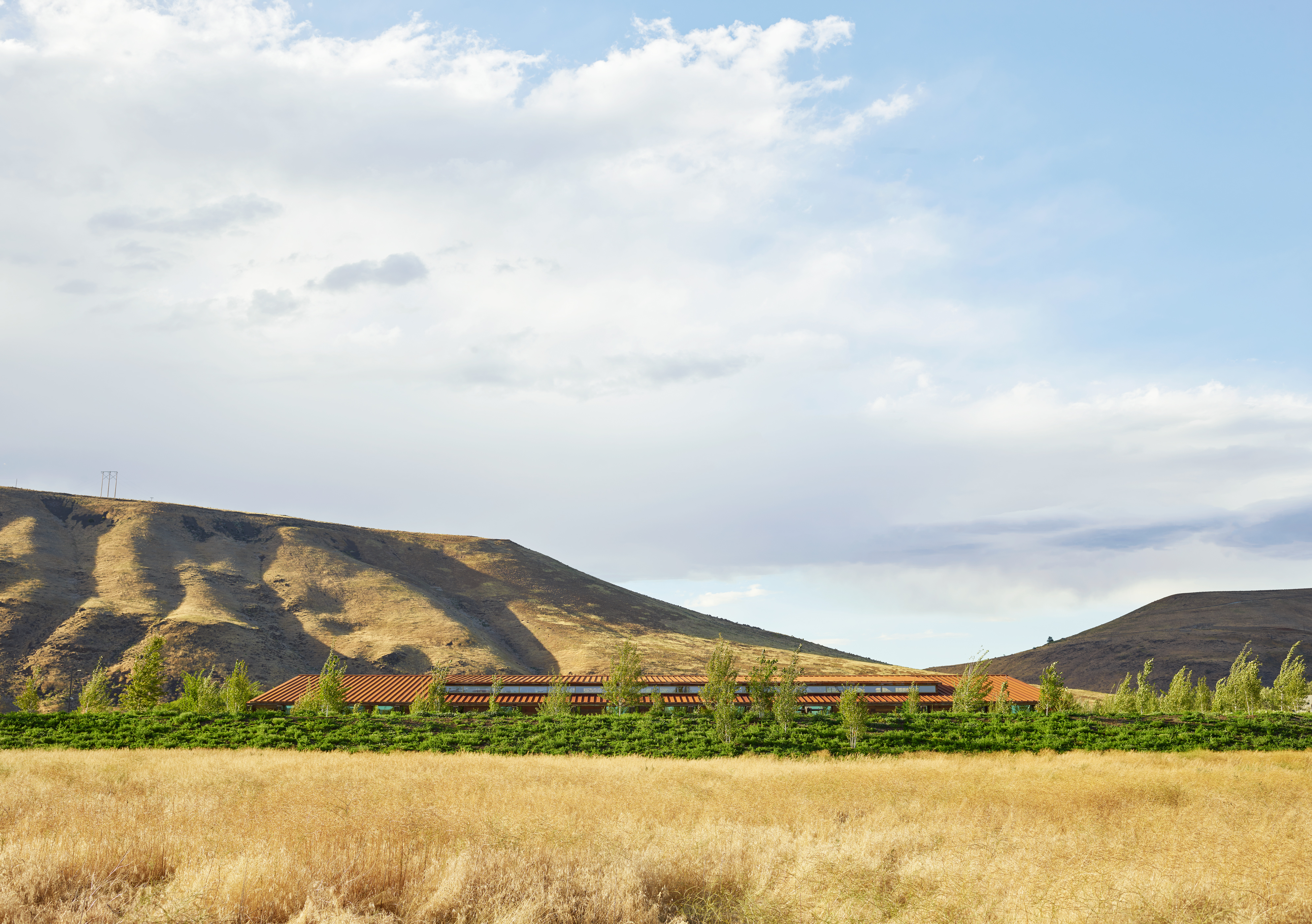 Washington Fruit Company Headquarters by GRAHAM BABA ARCHITECTS ...