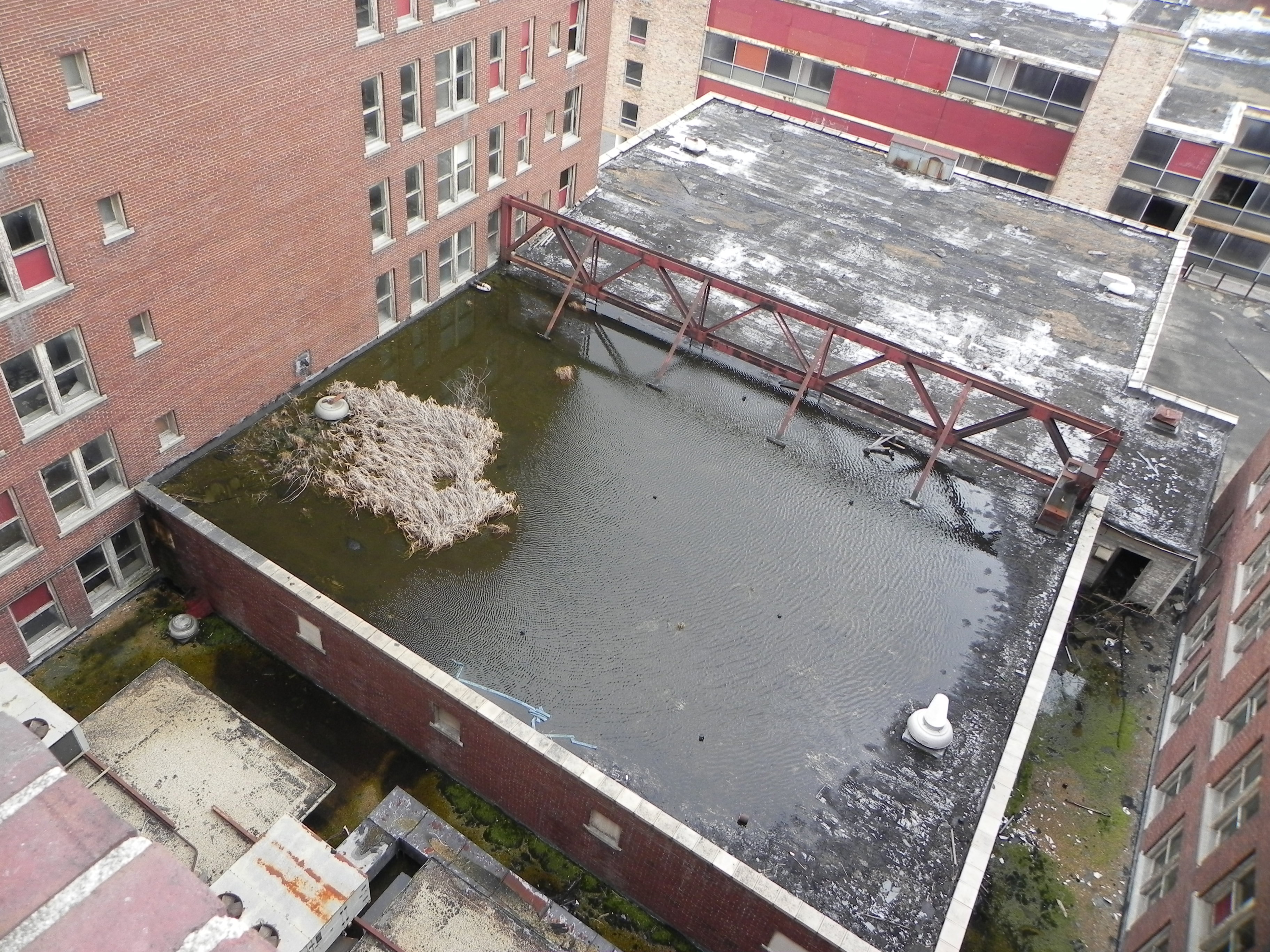 The Chisca on Main by Looney Ricks Kiss - Architizer