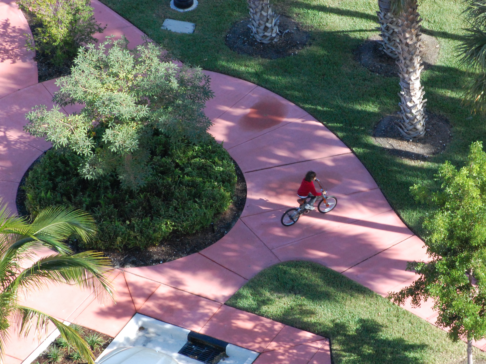 Idea 1945588: Belle Isle Park by Savino & Miller Design Studio in Miami ...