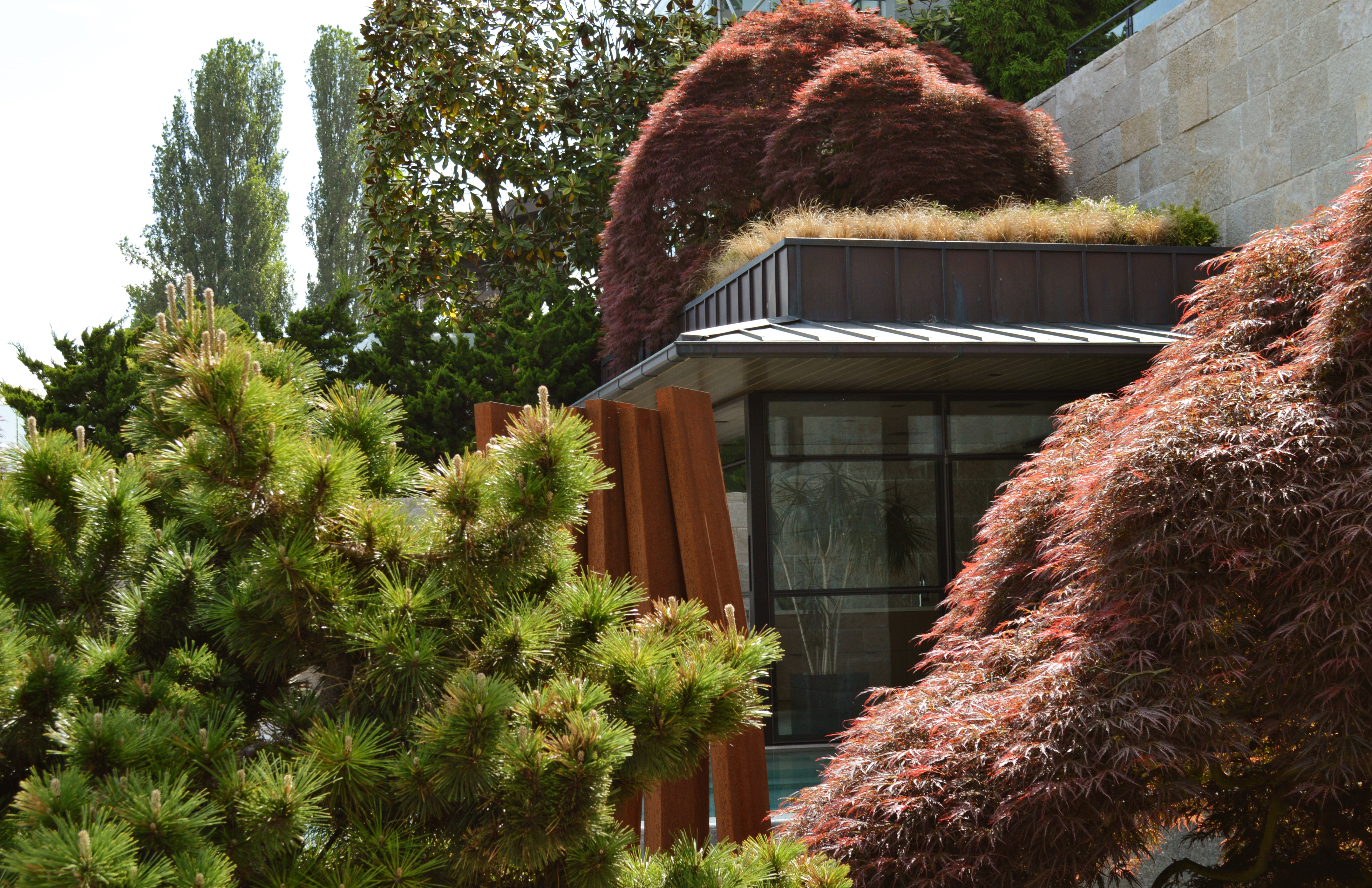 Point Grey Residence by Paul Sangha Landscape Architecture - Architizer