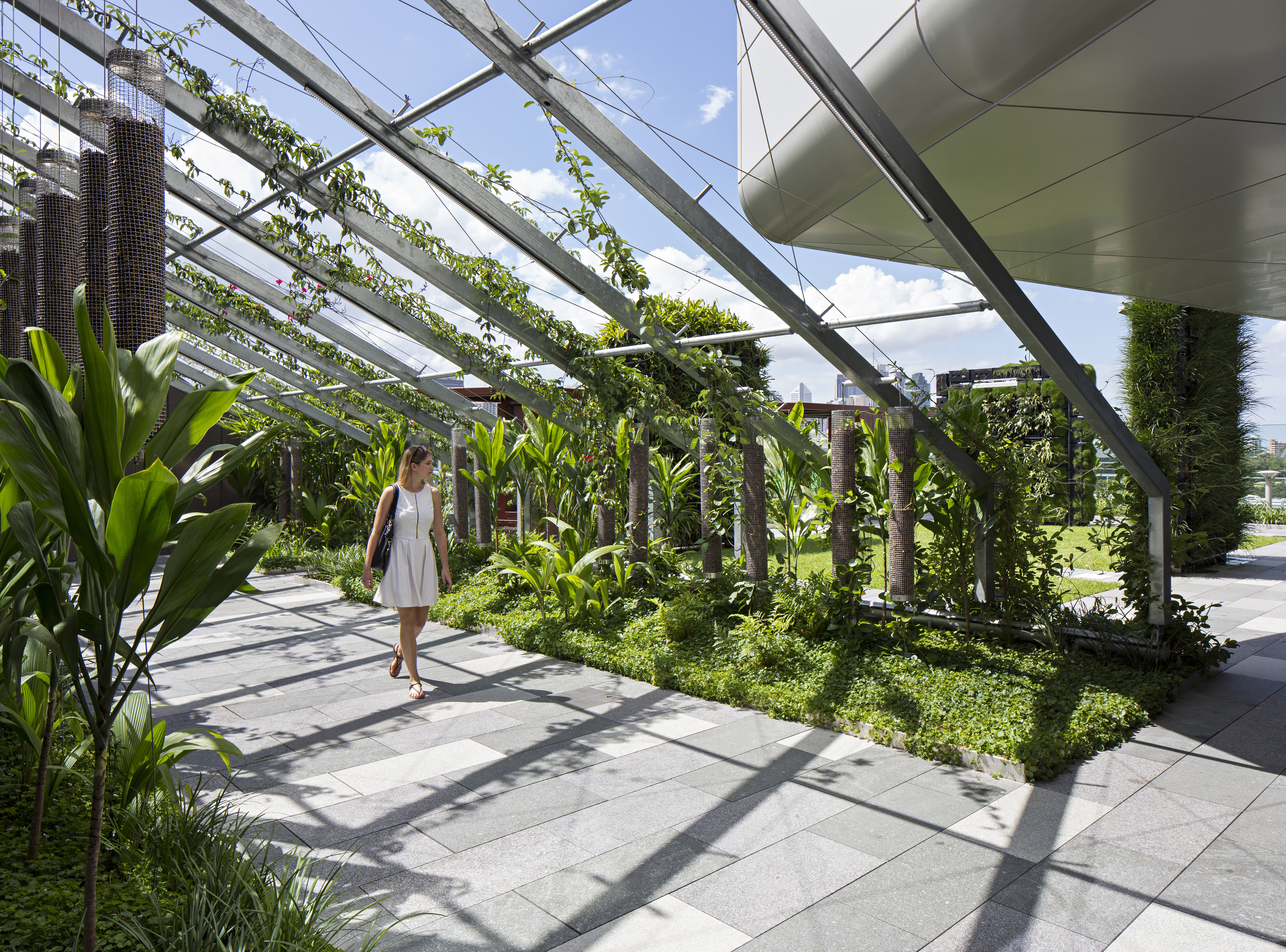 Lady Cilento Children's Hospital by Conrad Gargett - Architizer