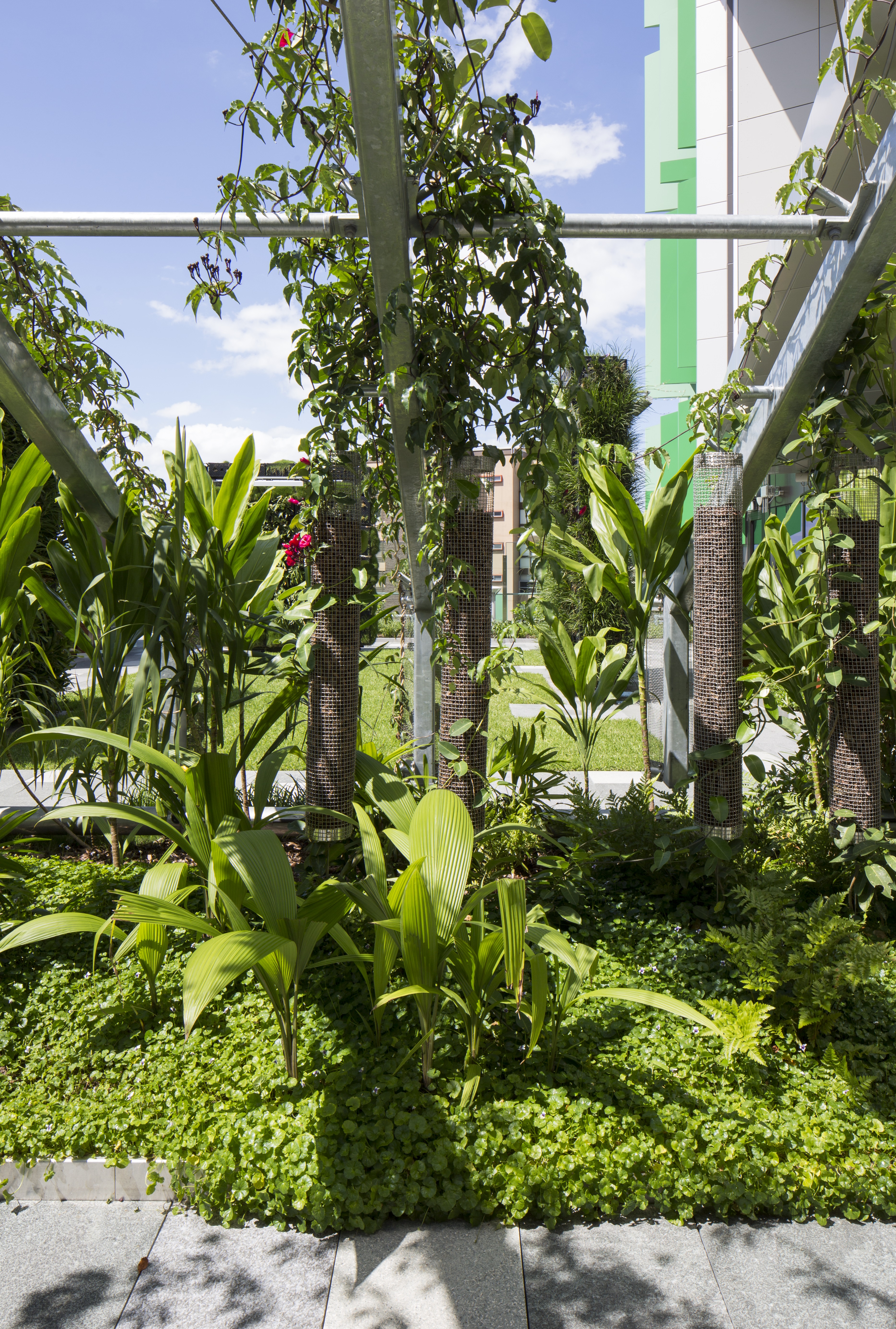 Lady Cilento Children's Hospital by Conrad Gargett - Architizer