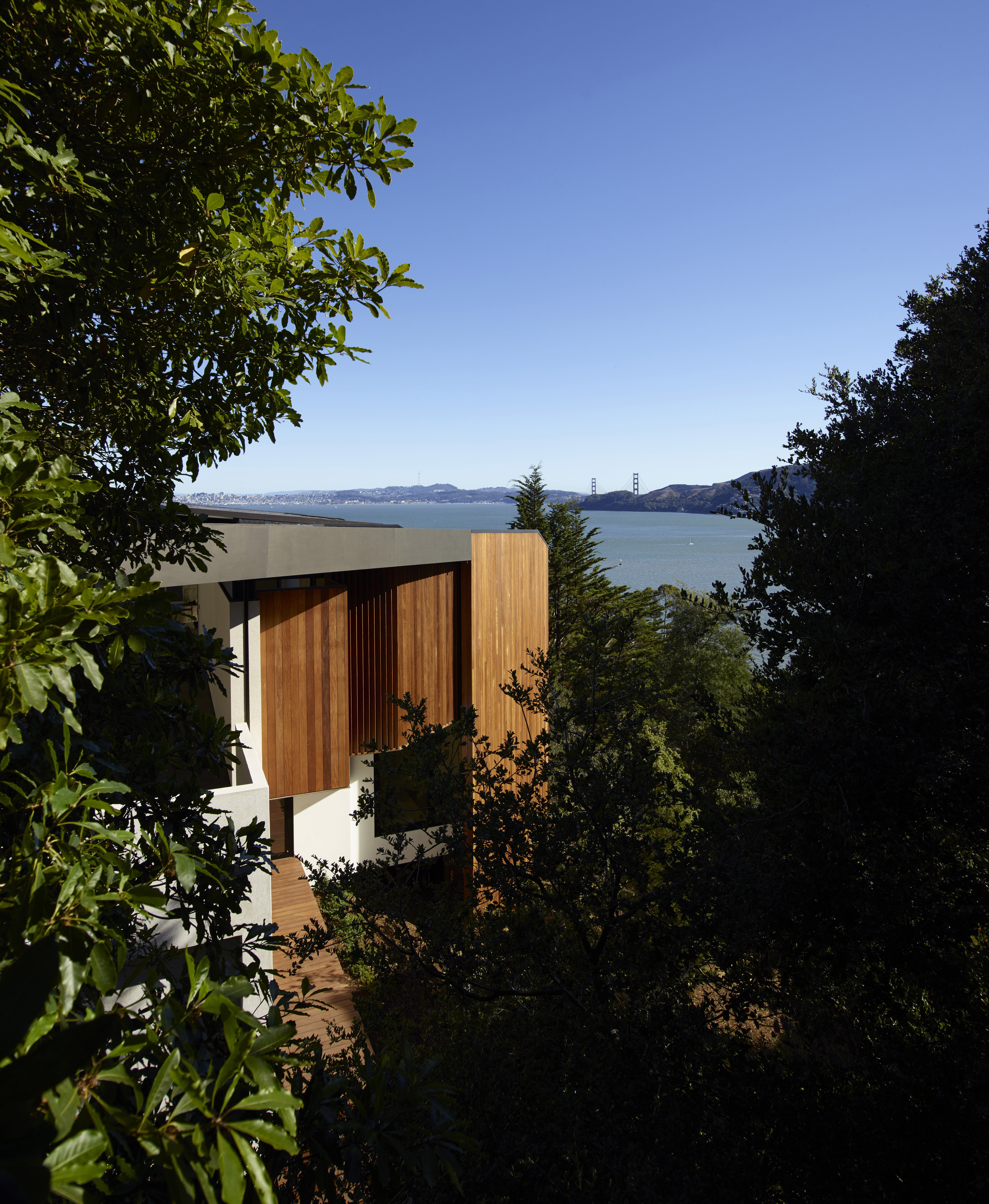 Kauri Timber Building by Fearon Hay Architects - Architizer
