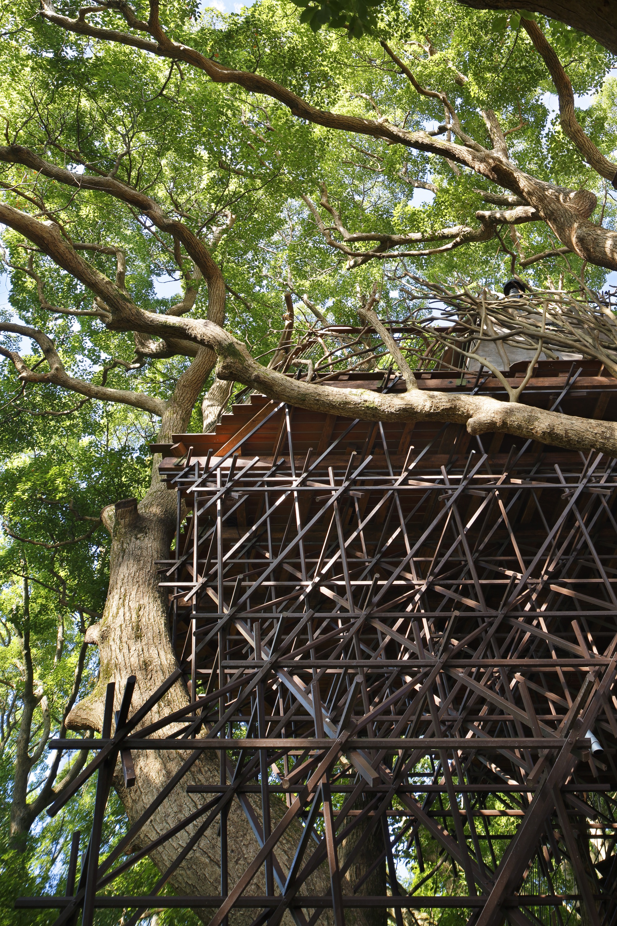Bird’s Nest Atami by Hiroshi Nakamura & NAP - Architizer