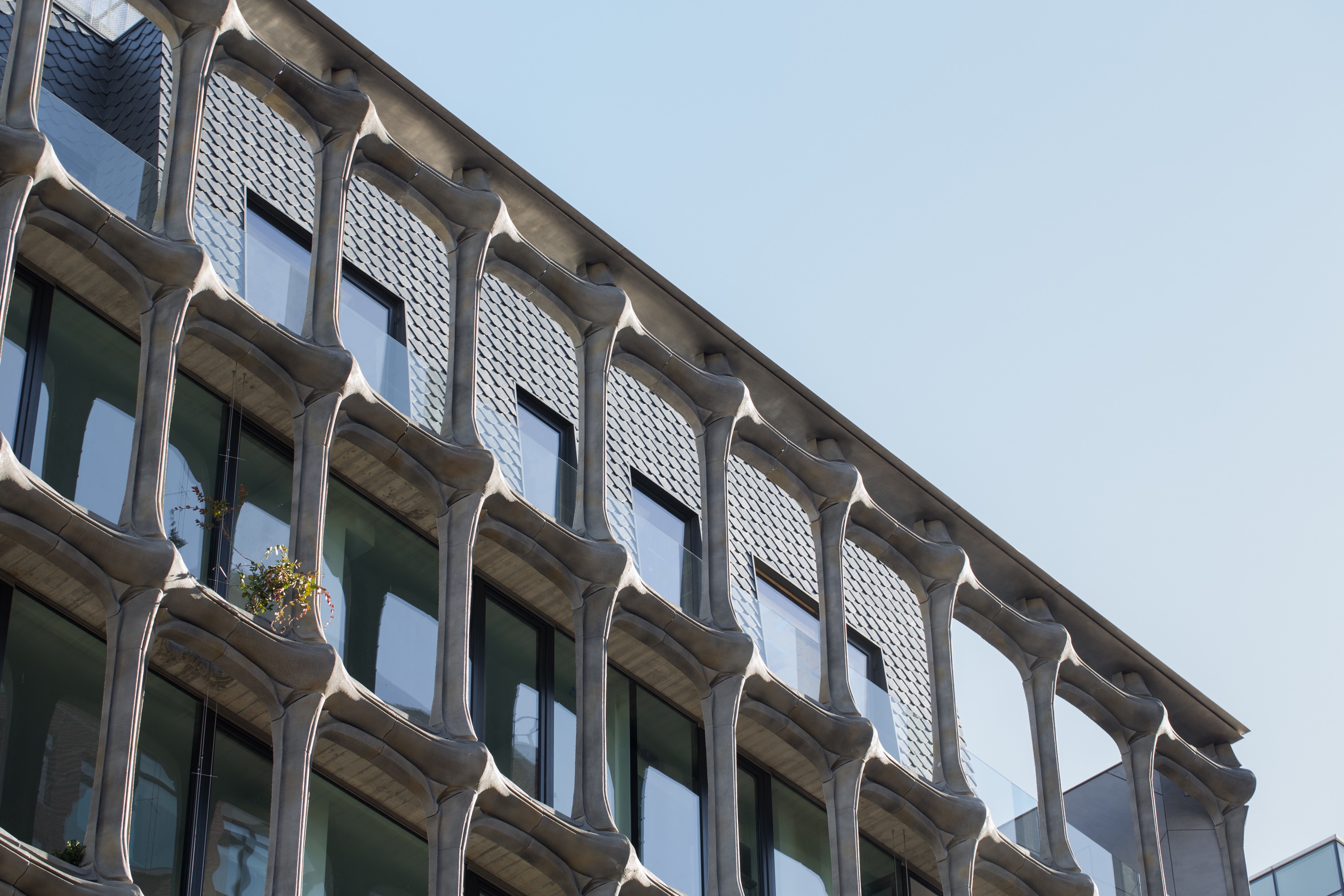 XOCO 325 by DDG - Architizer