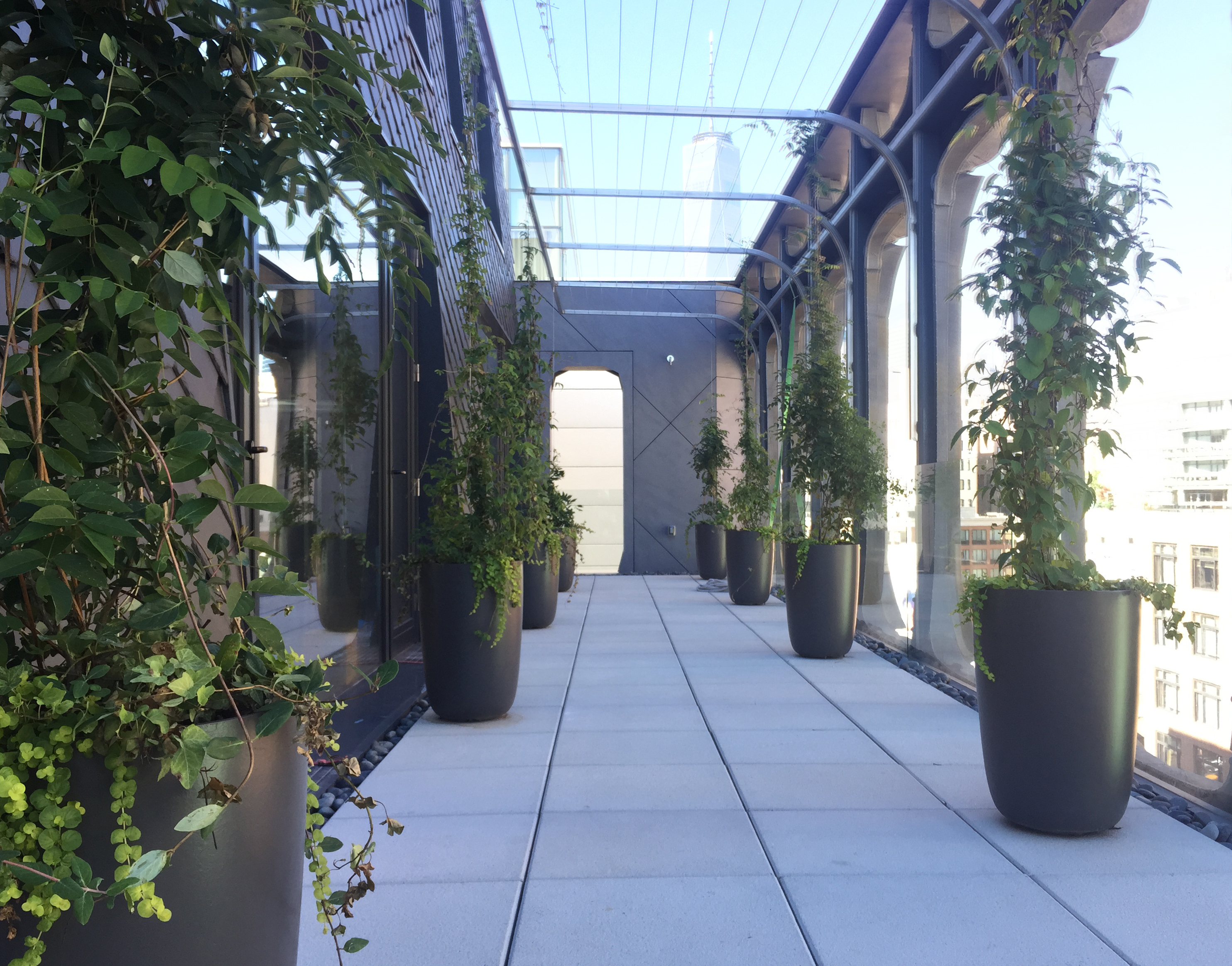 XOCO 325 by DDG - Architizer