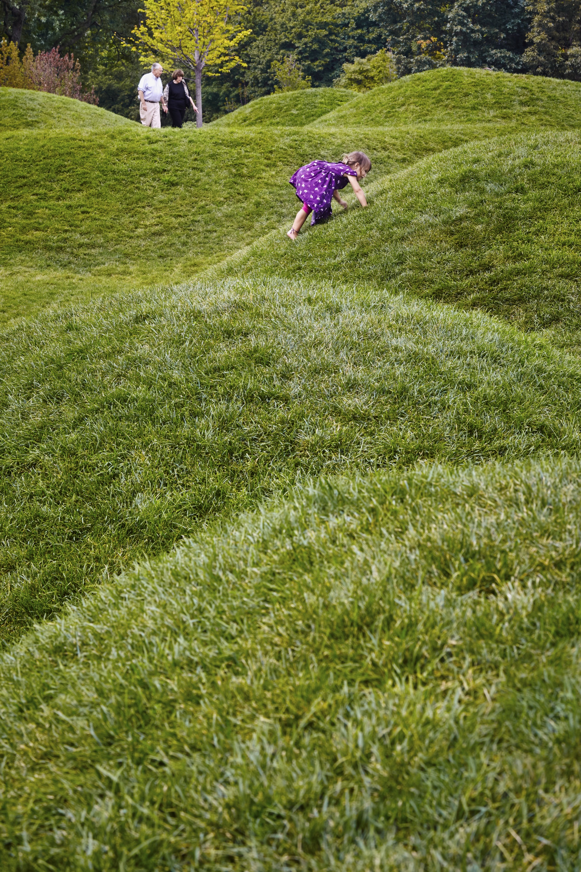 Chicago Botanic Garden by Jacobs Ryan Associates, Mikyoung Kim Design ...