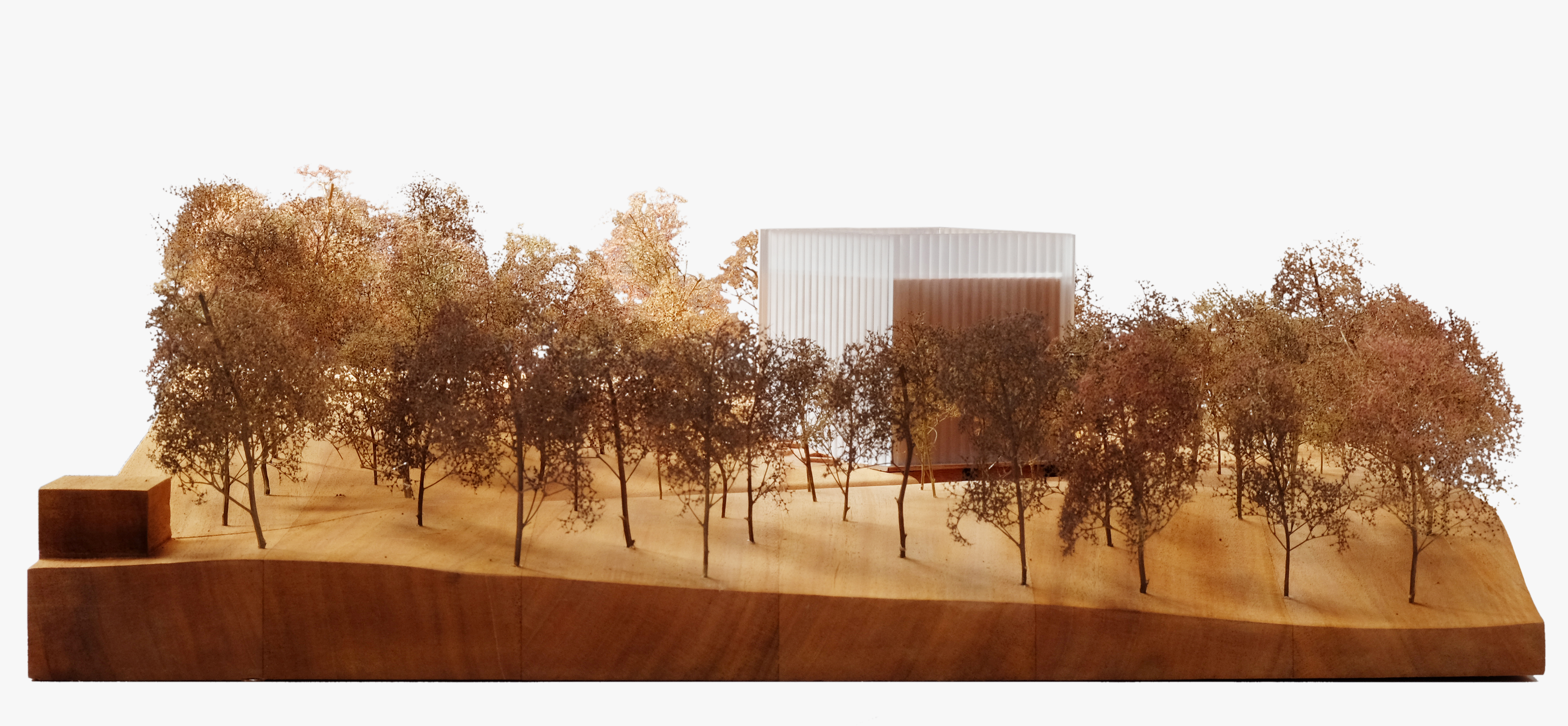 Ian Potter National Conservatory by CHROFI - Architizer