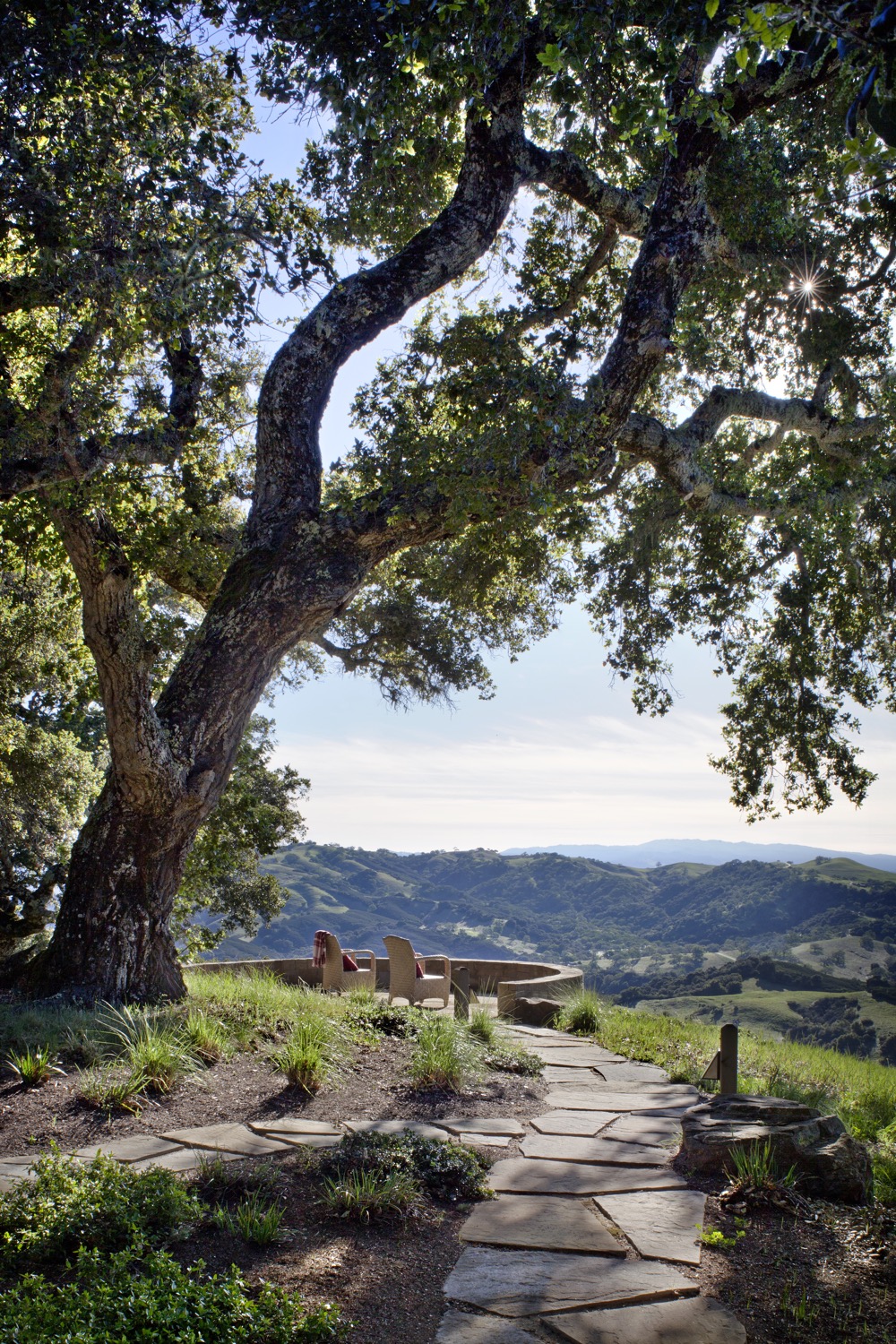 View Finder by Arterra Landscape Architects - Architizer