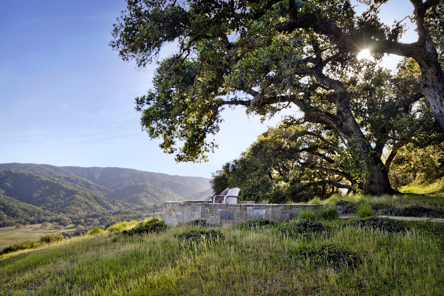 The Painterly Approach by Arterra Landscape Architects - Architizer