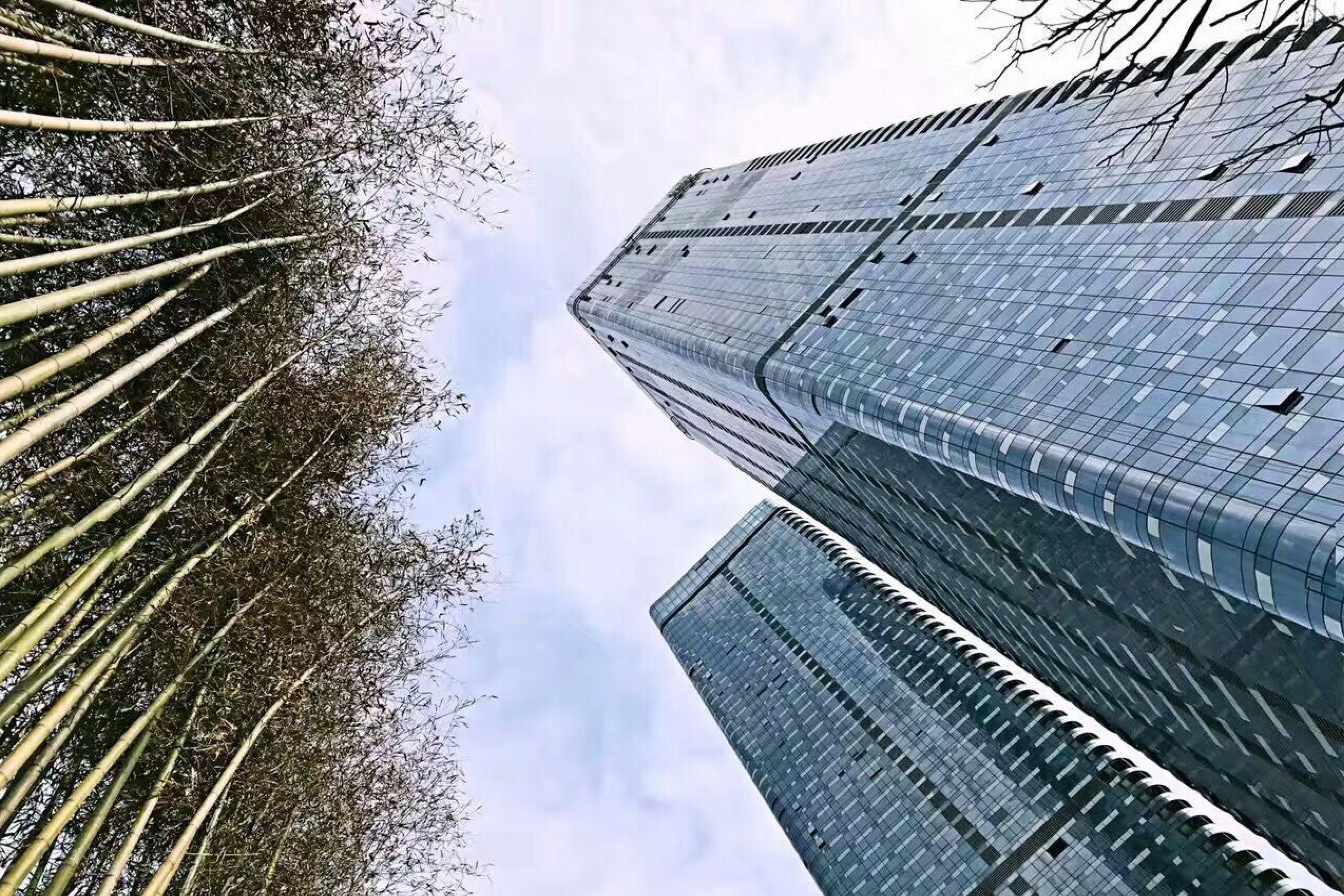 Chengdu Tianxi Twin Towers by MLA+ - Architizer