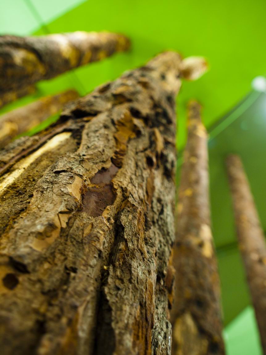 I Feel Good, life & training by vitale studio - Architizer