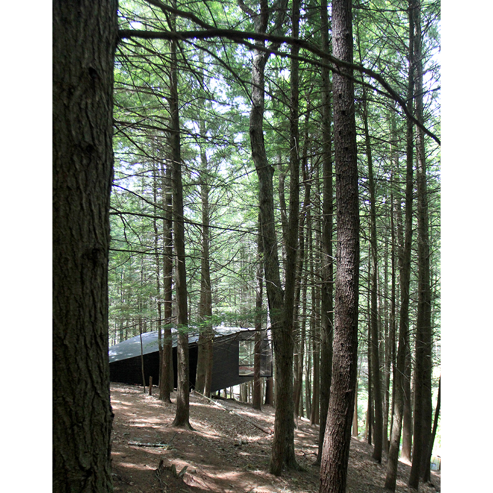 Half-Tree House by Jacobschang Architecture - Architizer