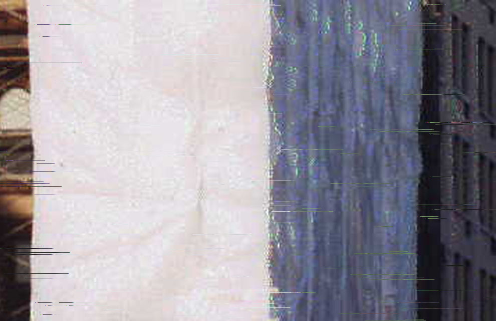 Cellophane Project New York Brooklyn 2000 Gianluca Milesi sciance ...