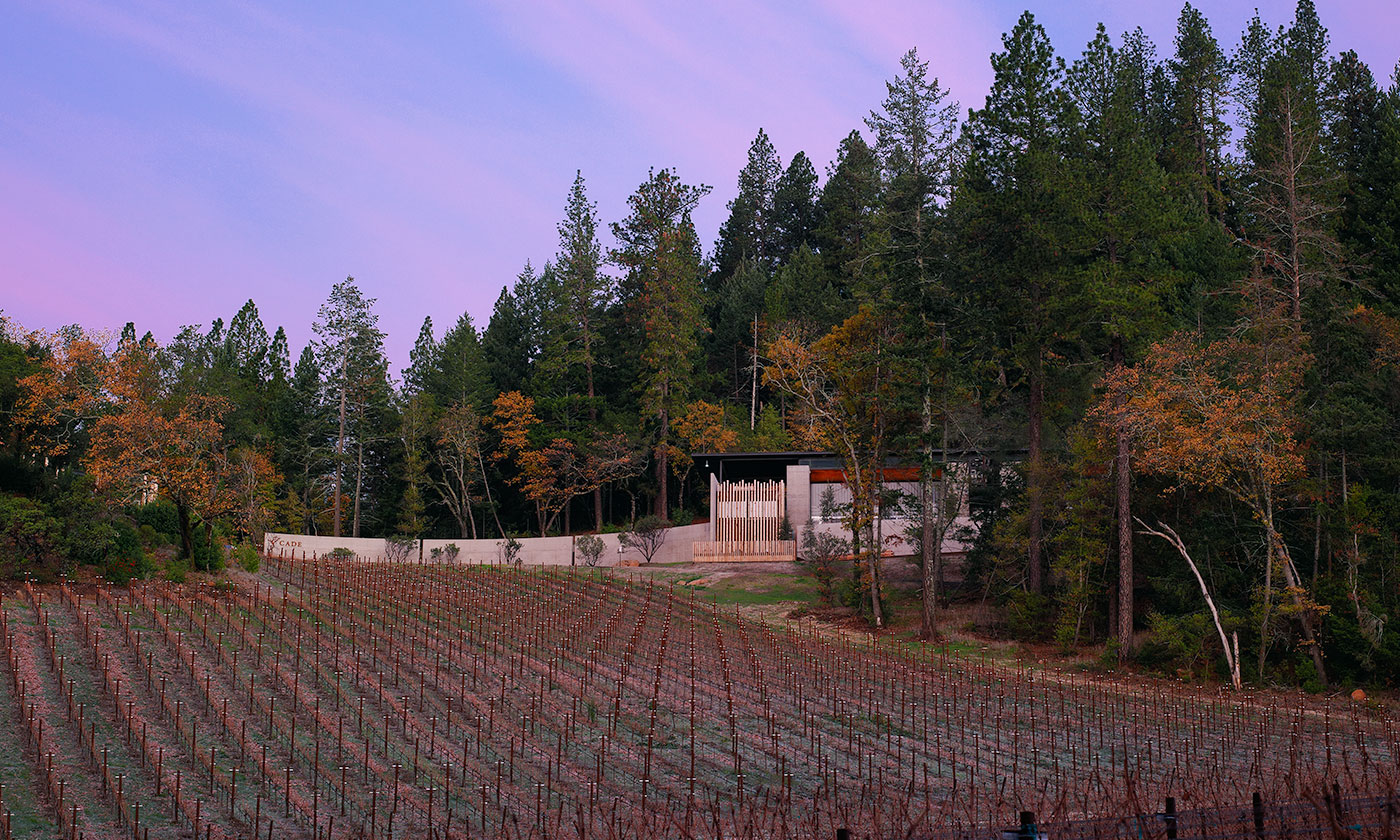 CADE Estate by Signum Architecture - Architizer