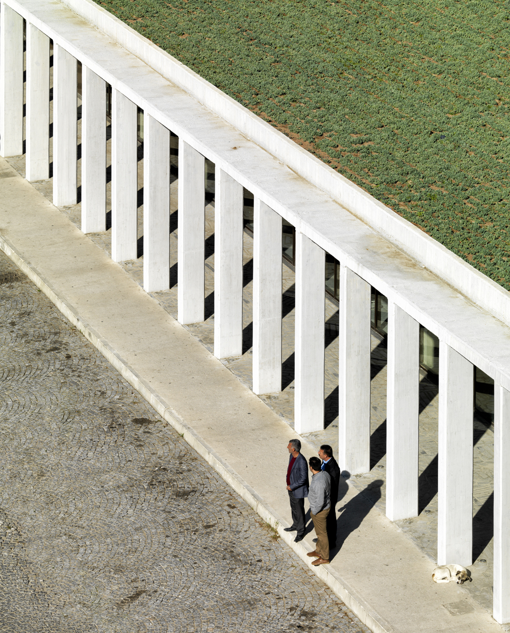 BerKM-Bergama Cultural Center - Architizer