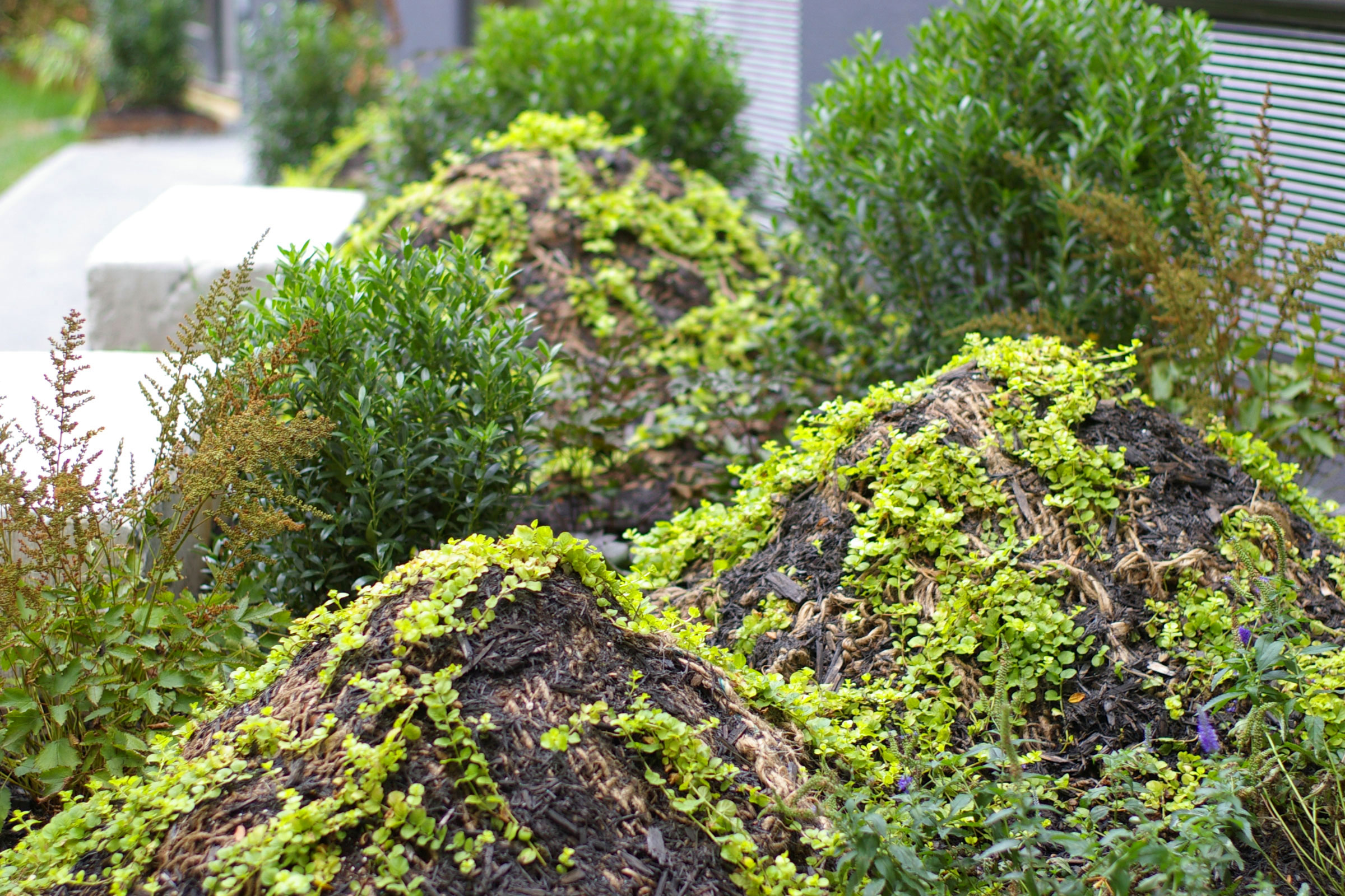 Castle Braid Factory by Future Green Landscape Architecture DPC ...