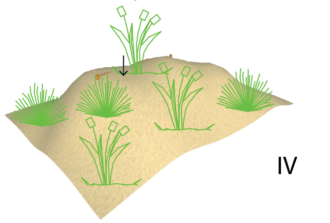 New edge - Prethvi Raj, Prasanth Jayaprakash by The Jacques Rougerie Foundation - 2016 ...