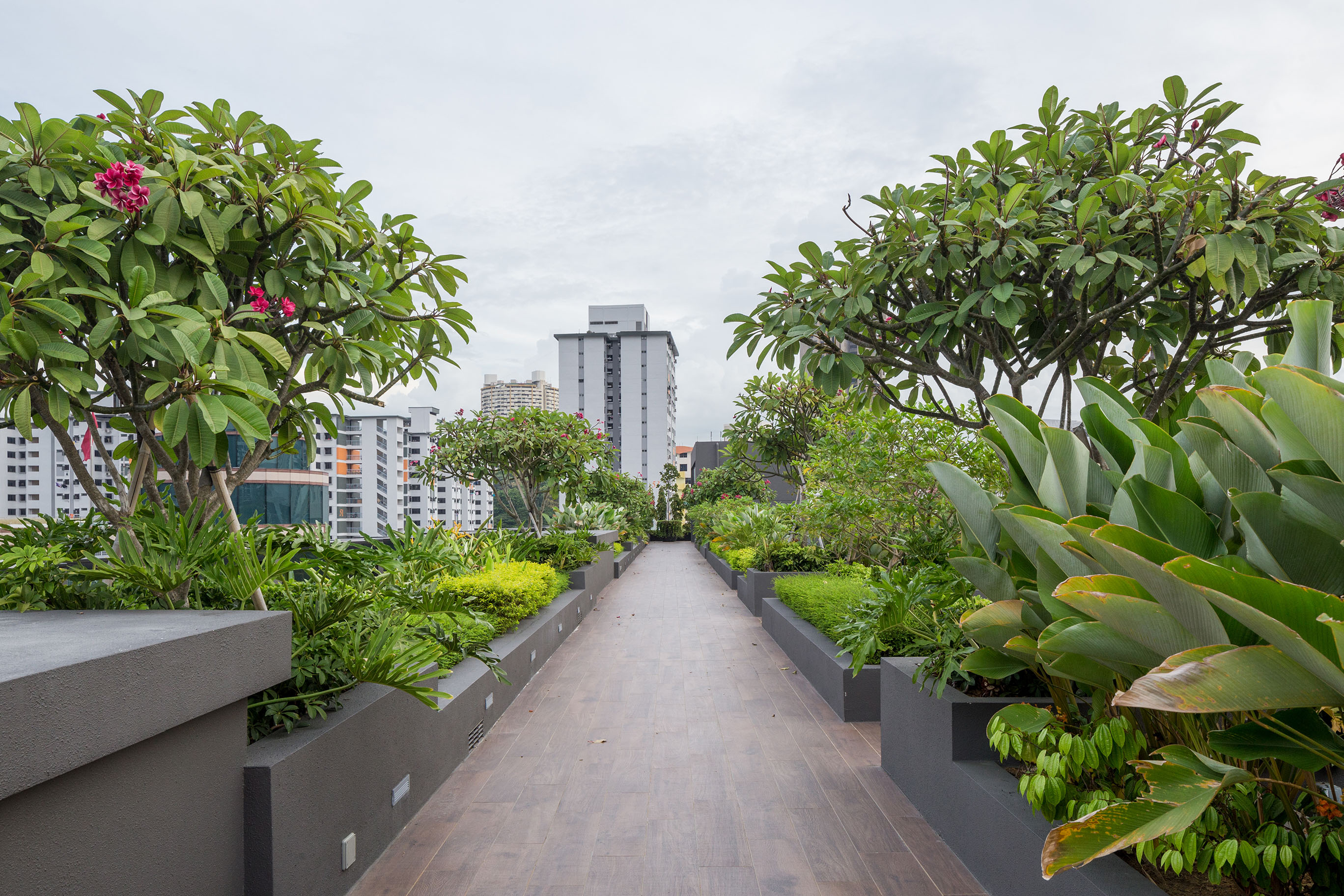 Holiday Inn Express - Landscape by ONG&ONG - Architizer