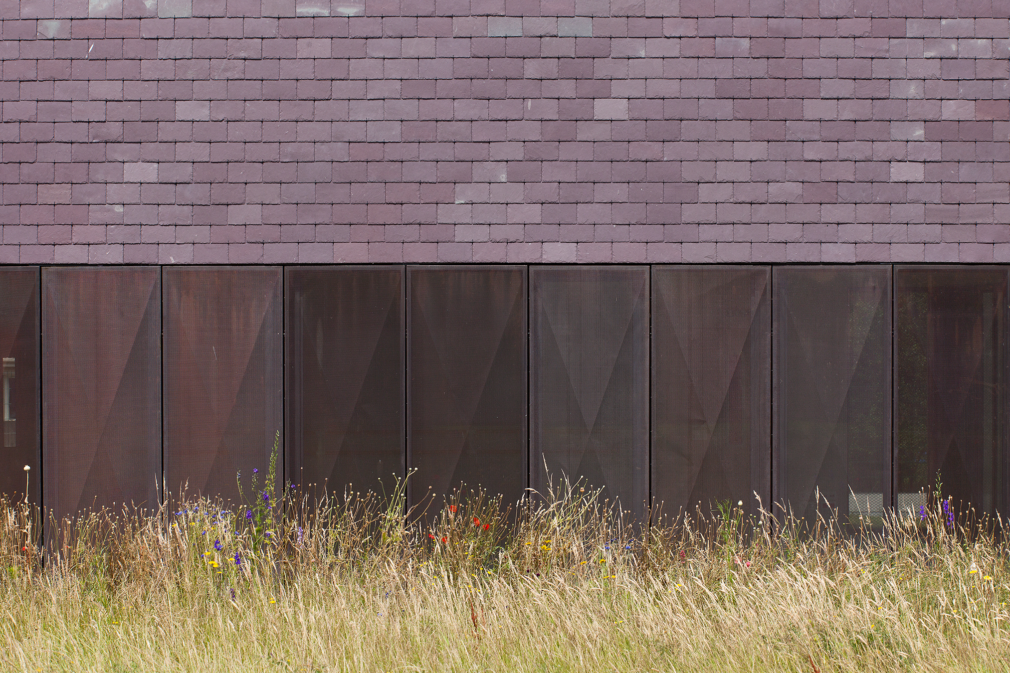 Slated for Success: 7 Slate-Clad School Buildings - Architizer Journal