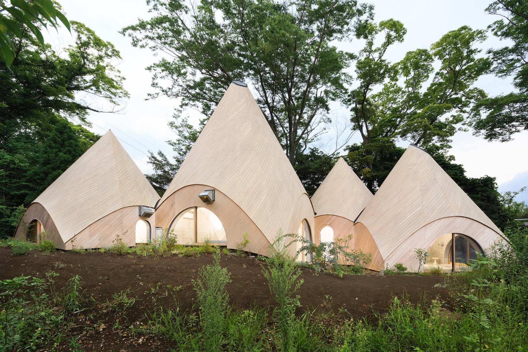 Woodland Retreat: JIKKA Might Be Japan's Most Beautiful New Home ...
