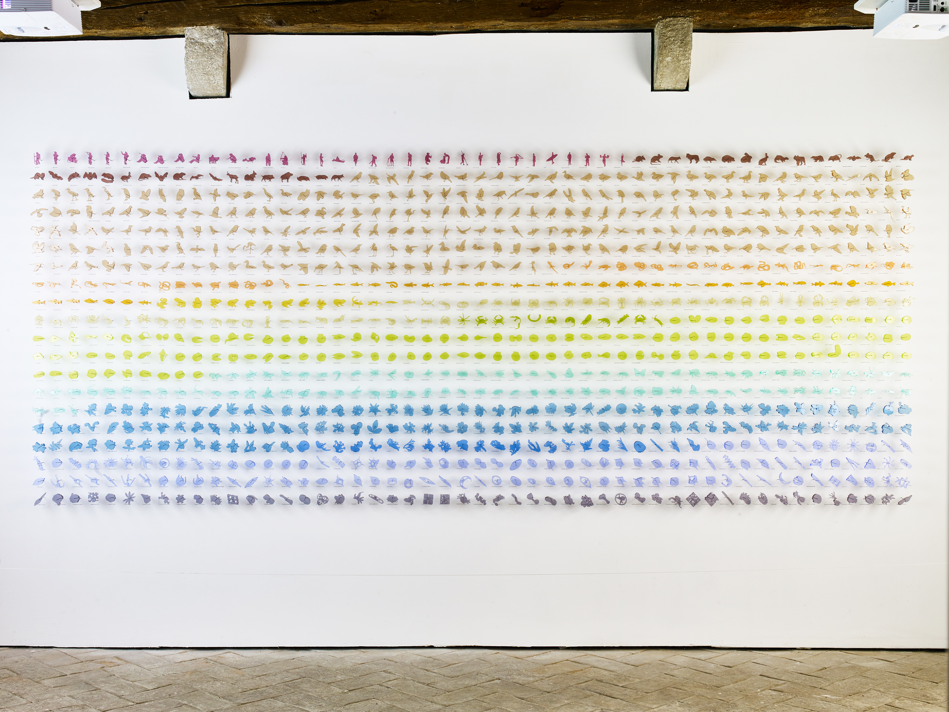 Research Solana Ulcinj Montenegro by LOLA landscape architects - Architizer