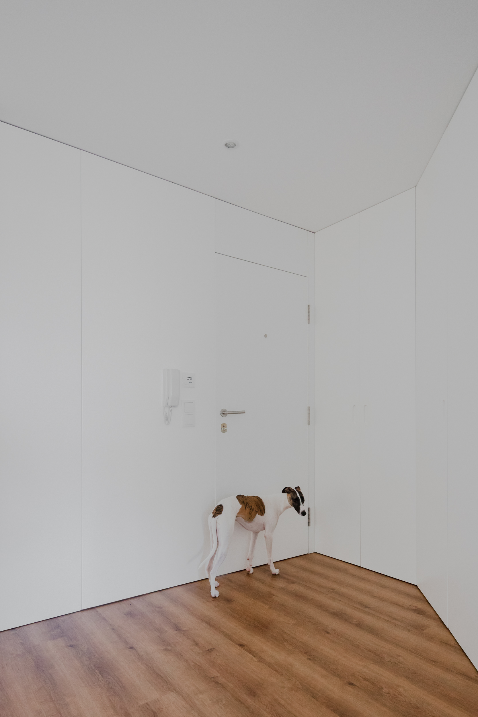 Xavi House by Contexto ® - Architizer